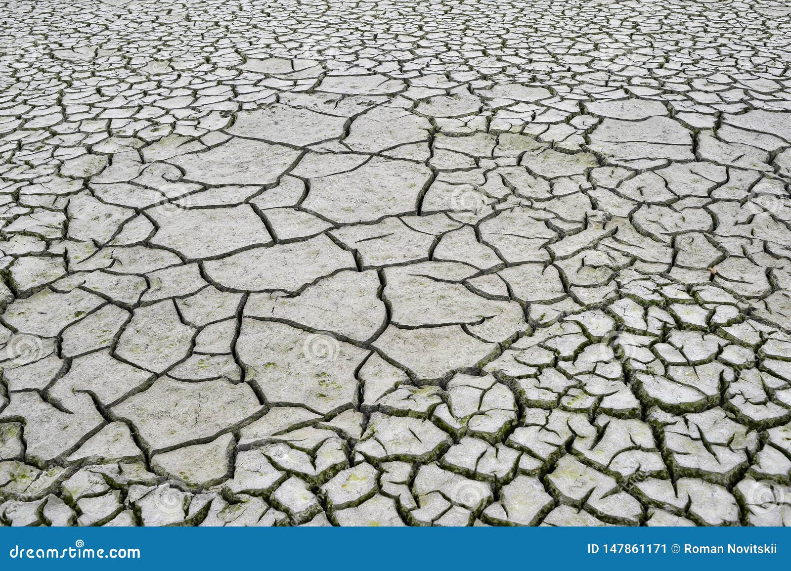 Cracks in the Dry Ground. Background, Texture, Ecology Stock Image ...