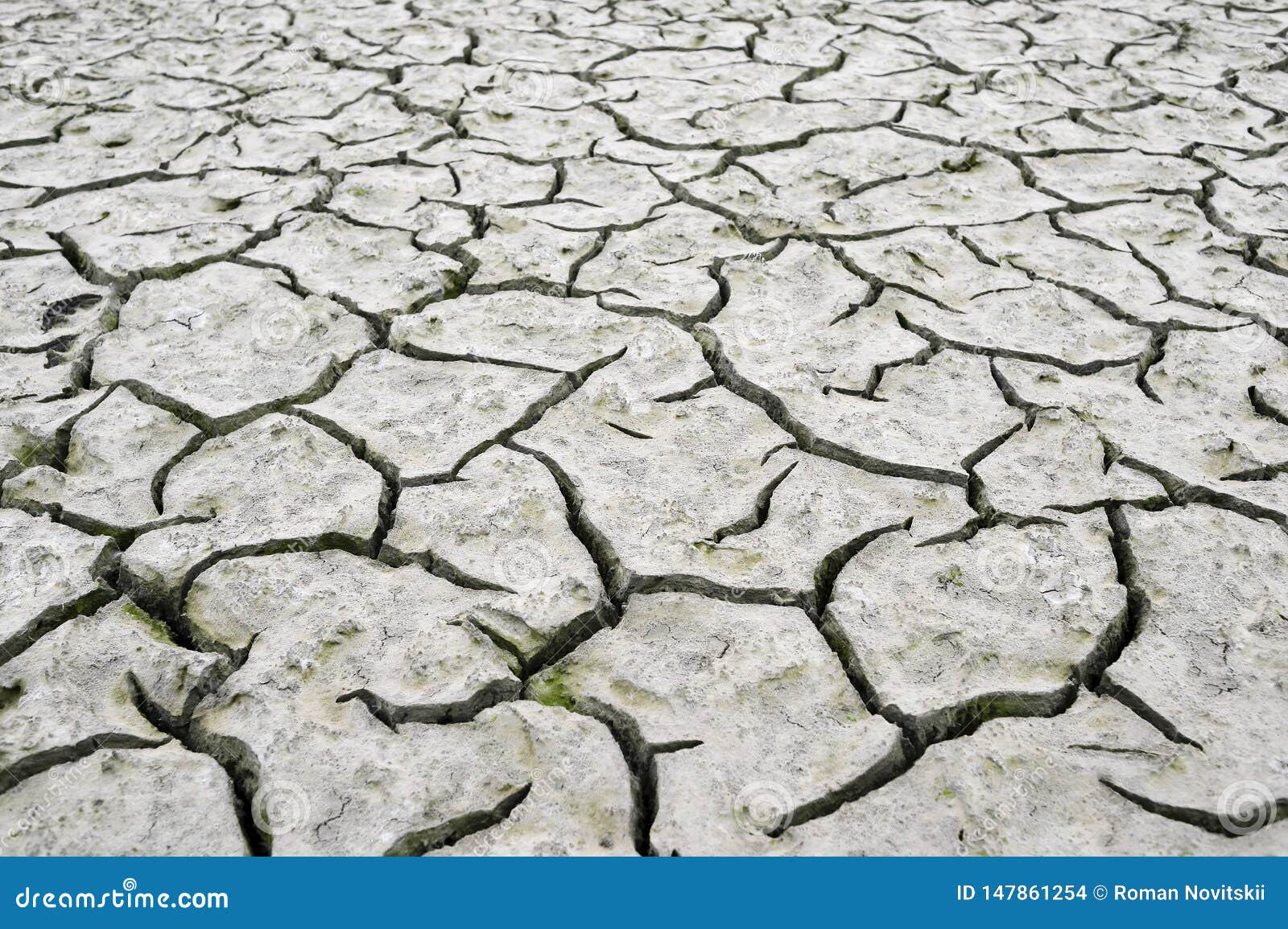 Cracks in the Dry Ground. Background, Texture, Ecology Stock Photo ...