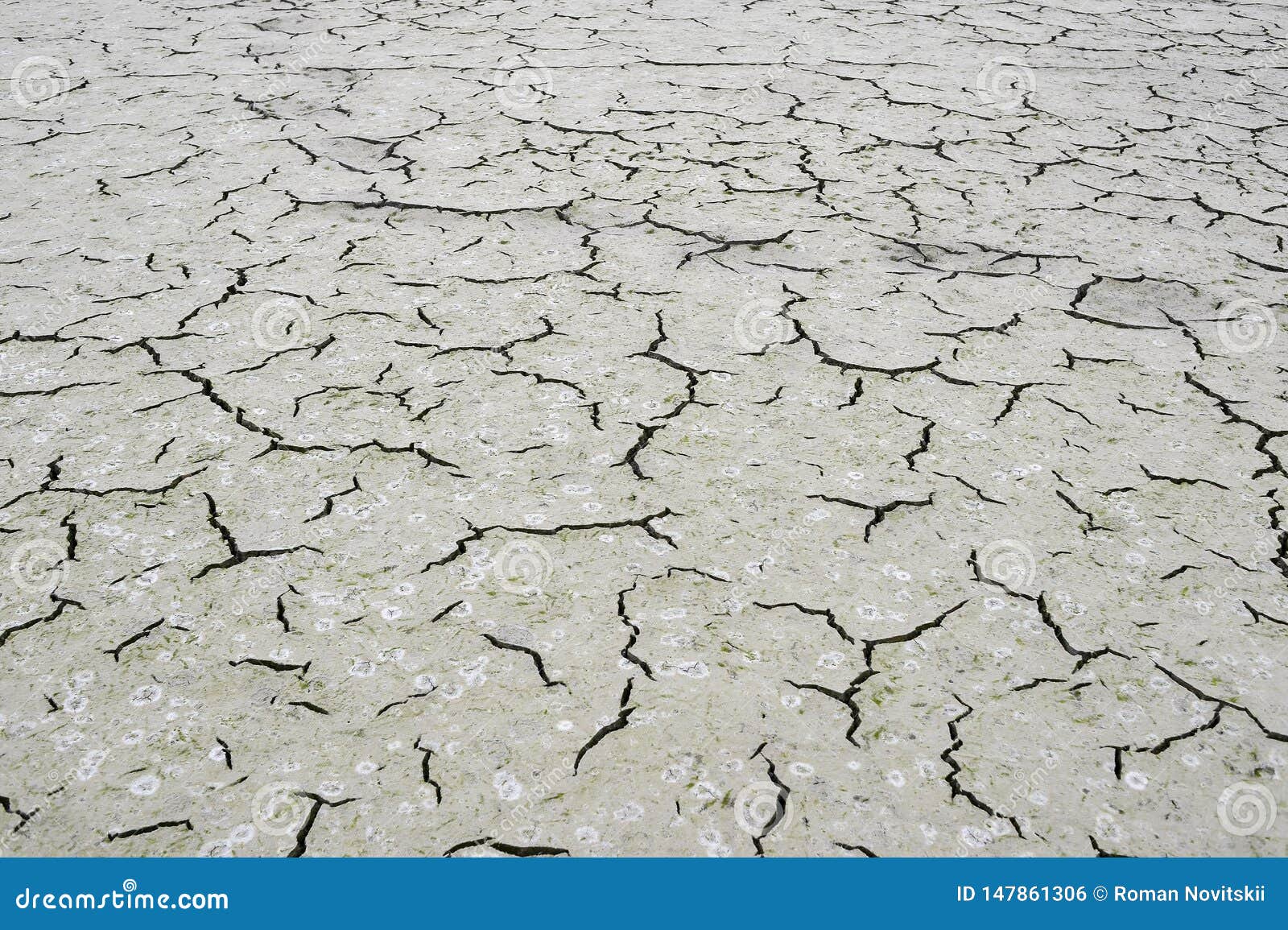 Cracks in the Dry Ground. Background, Texture, Ecology Stock Photo ...