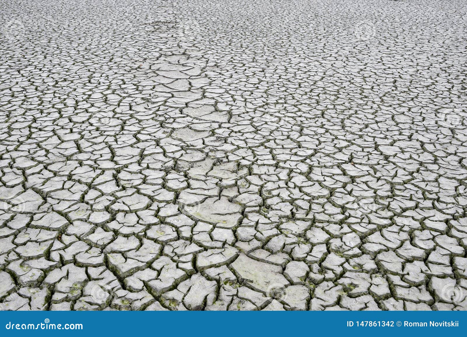 Cracks in the Dry Ground. Background, Texture, Ecology Stock Photo ...