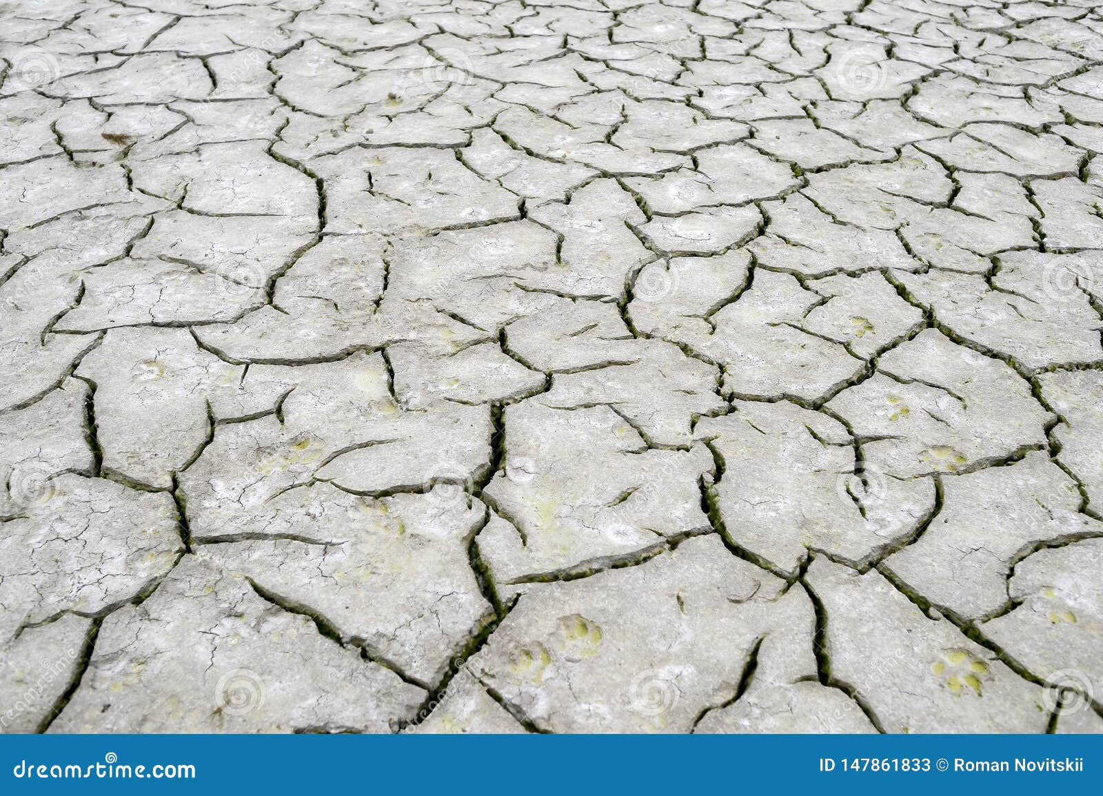 Cracks in the Dry Ground. Background, Texture, Ecology Stock Image ...