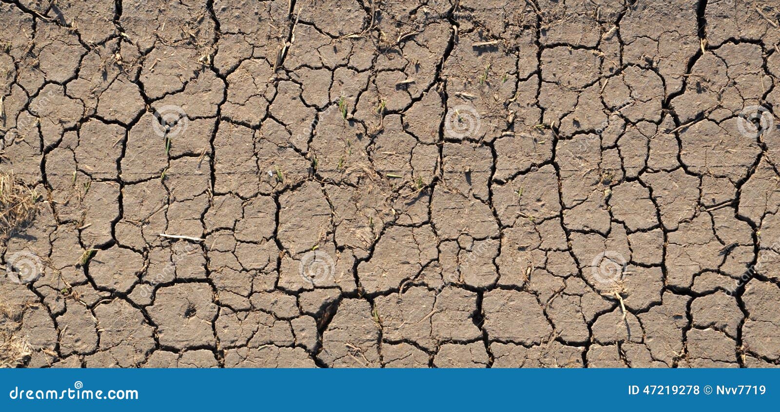 Cracks on dry land stock photo. Image of weather, background - 47219278