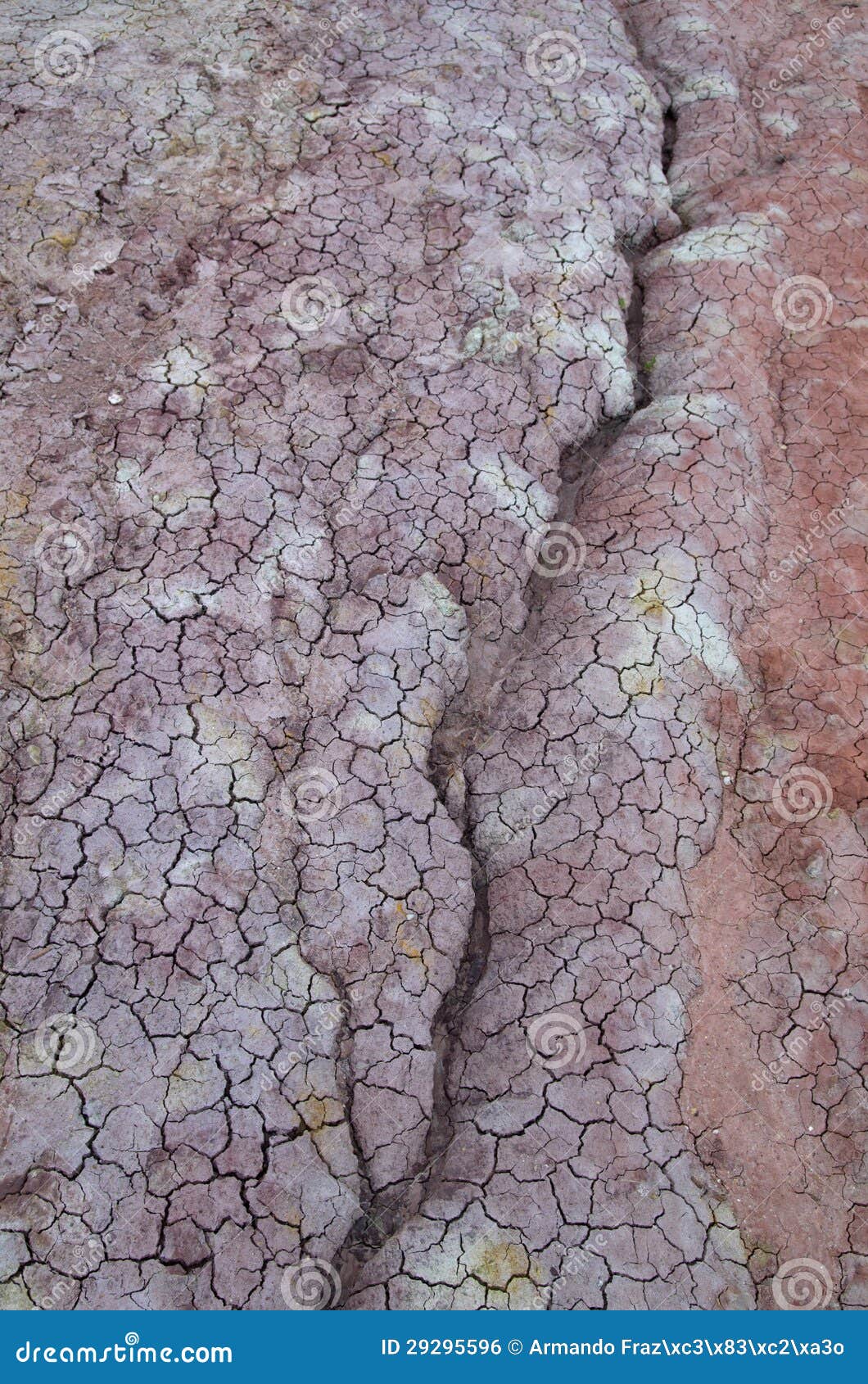 Cracks on dry red dirt stock photo. Image of drained - 29295596