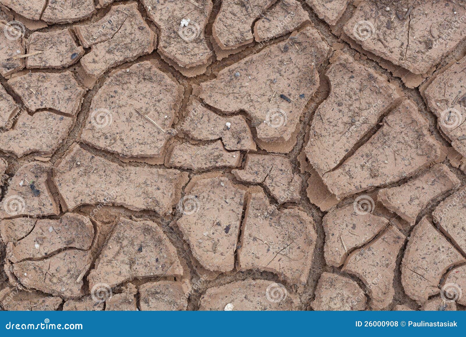 Cracks in dry soil. stock photo. Image of land, cracked - 26000908