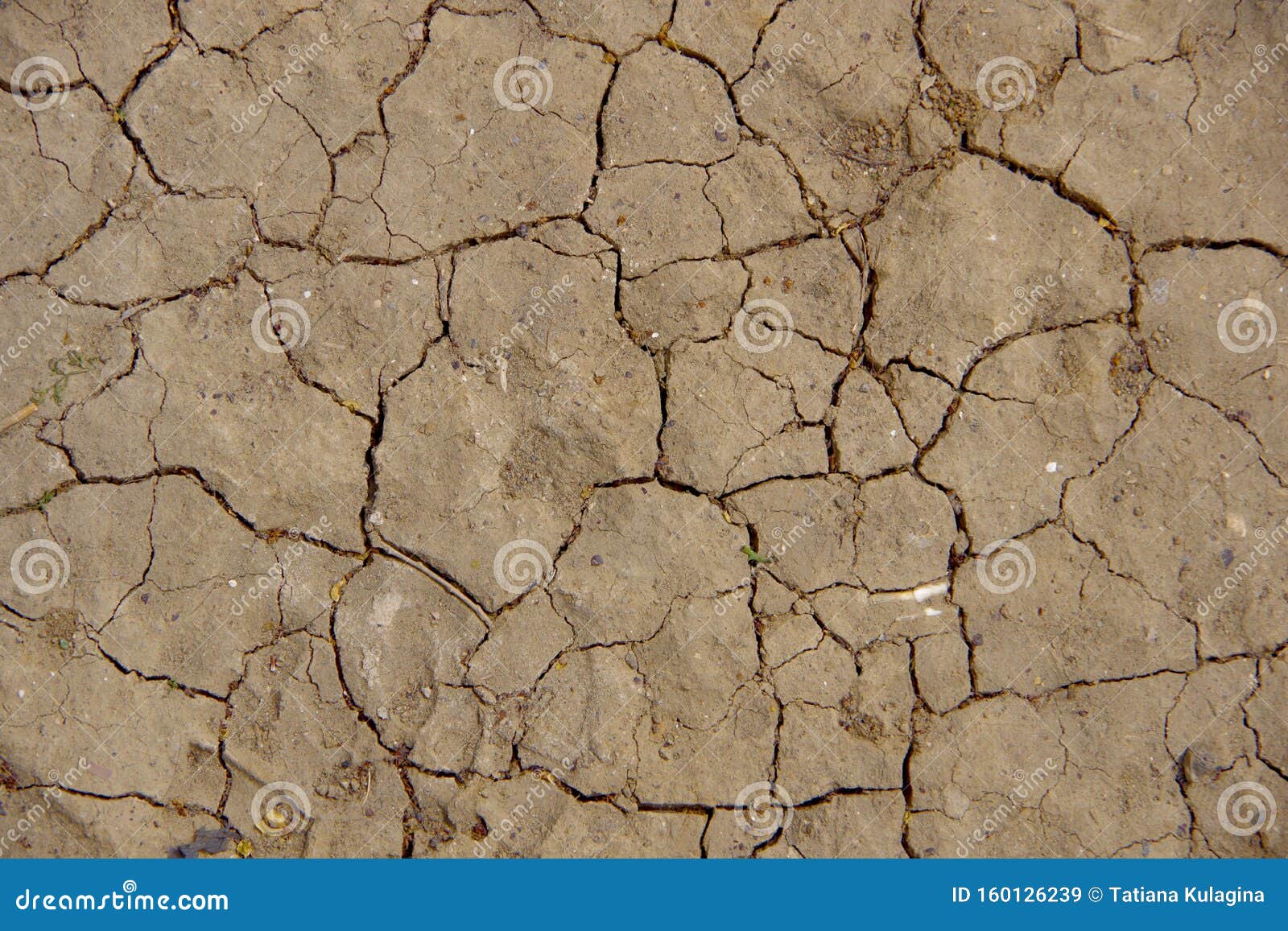 Cracks in the dry soil. stock image. Image of design - 160126239