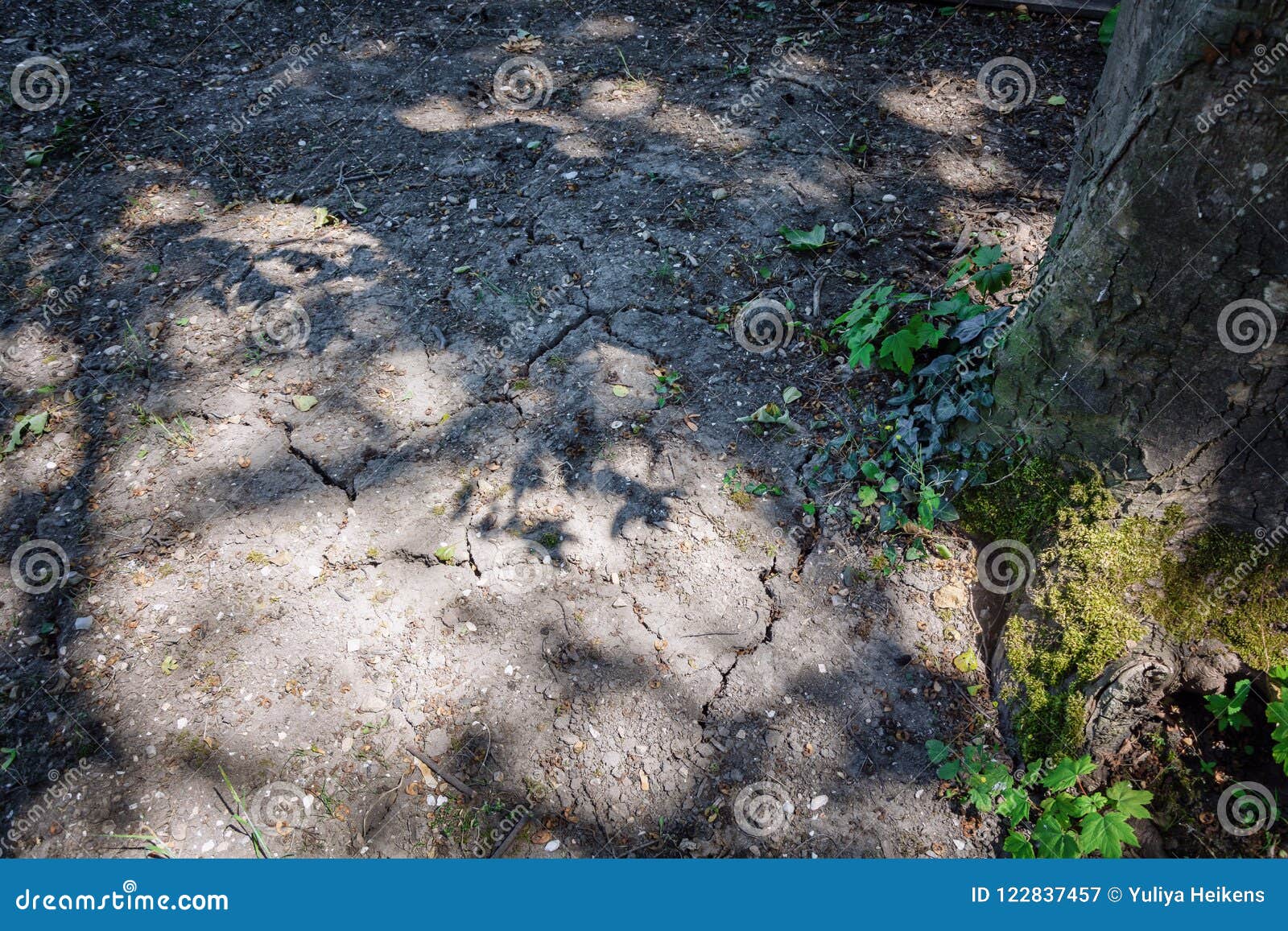 Cracks in the Dutch Soil Due To Prolonged Drought Stock Image - Image ...