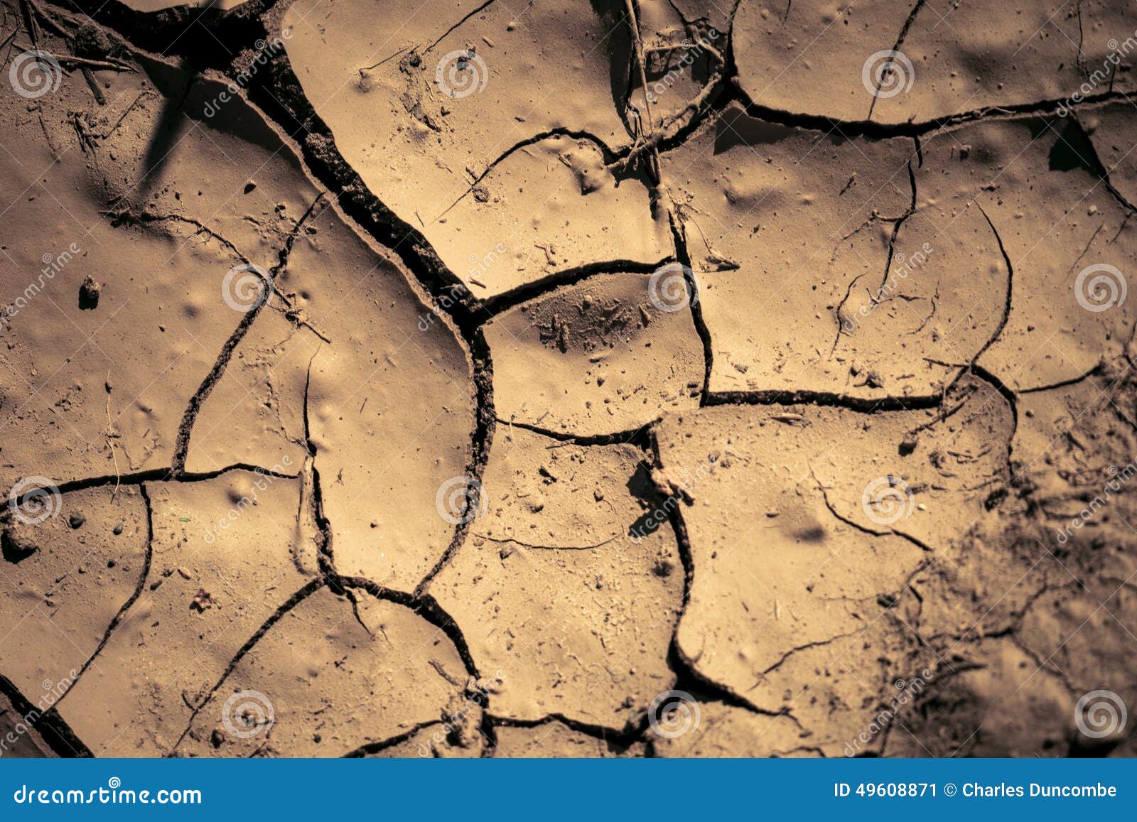 Cracks in the Earth S Surface Stock Image - Image of cracked ...