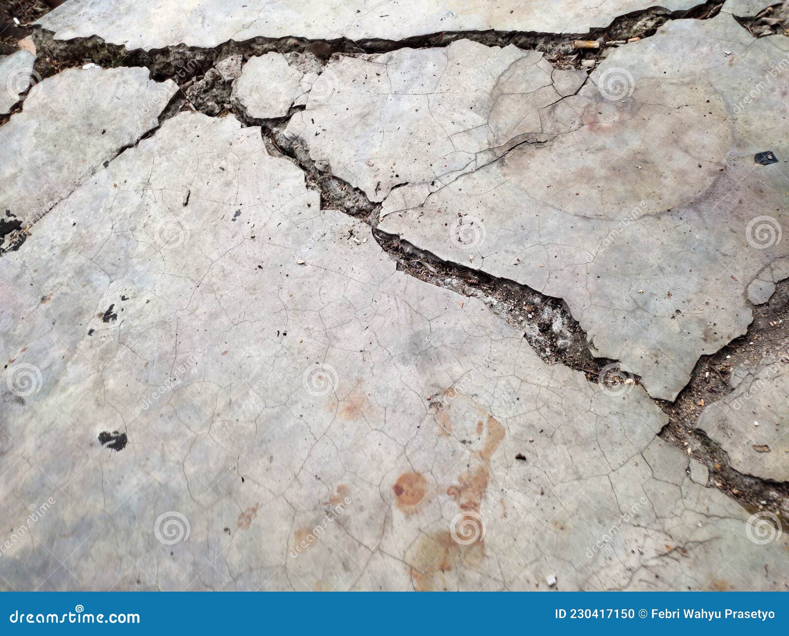 Cracks in the Floor Due To the Tree Roots Growing Under it Stock Photo ...