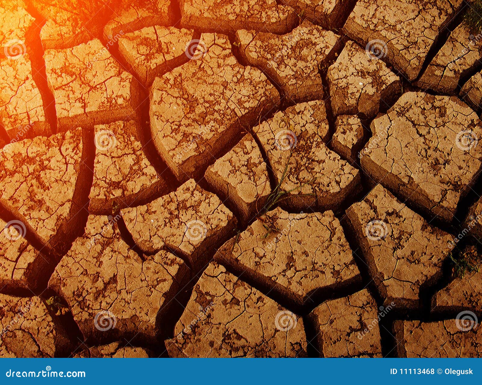 Cracks ground stock photo. Image of summer, dehydrated - 11113468