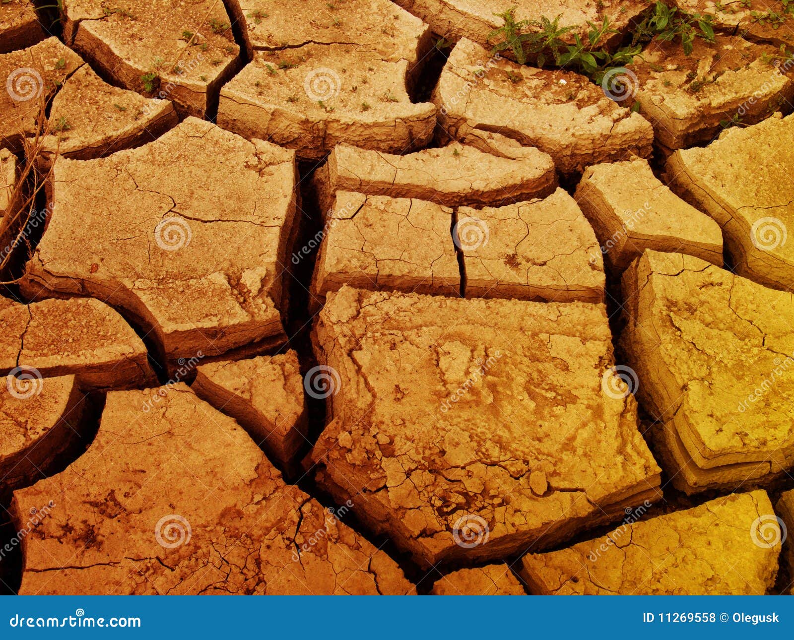 Cracks ground stock photo. Image of phenomenon, flora - 11269558