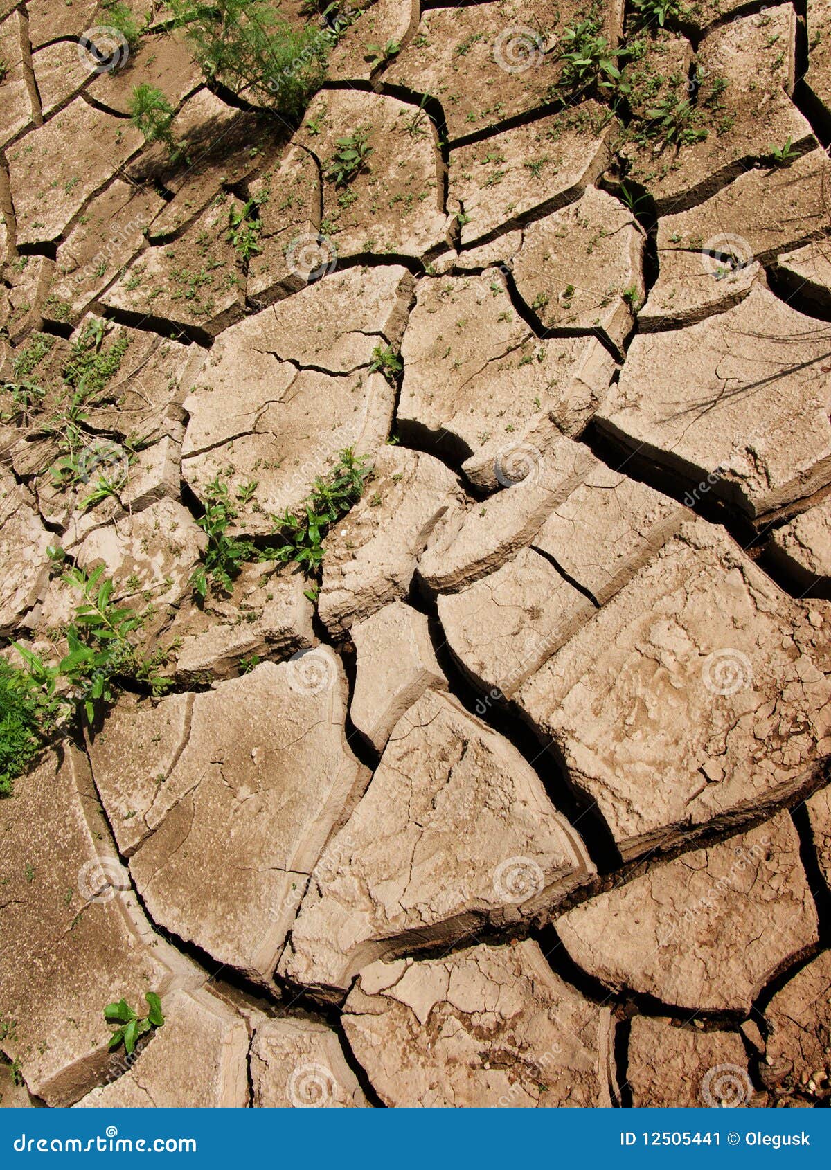 Cracks In The Ground Due To Drought.The Concept Of Global Warming. A ...