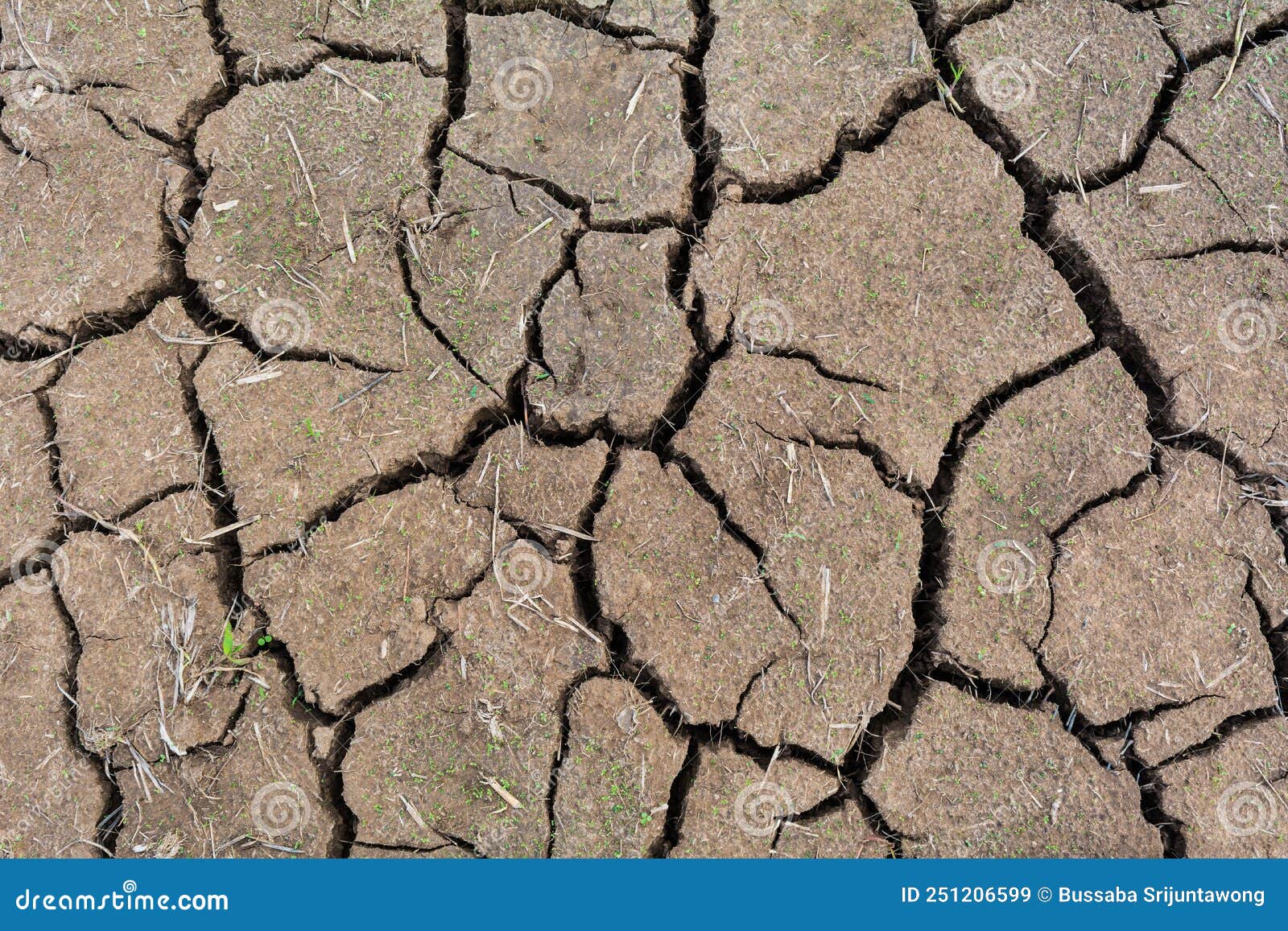 The ground stock image. Image of summer, terrain, drought - 251206599