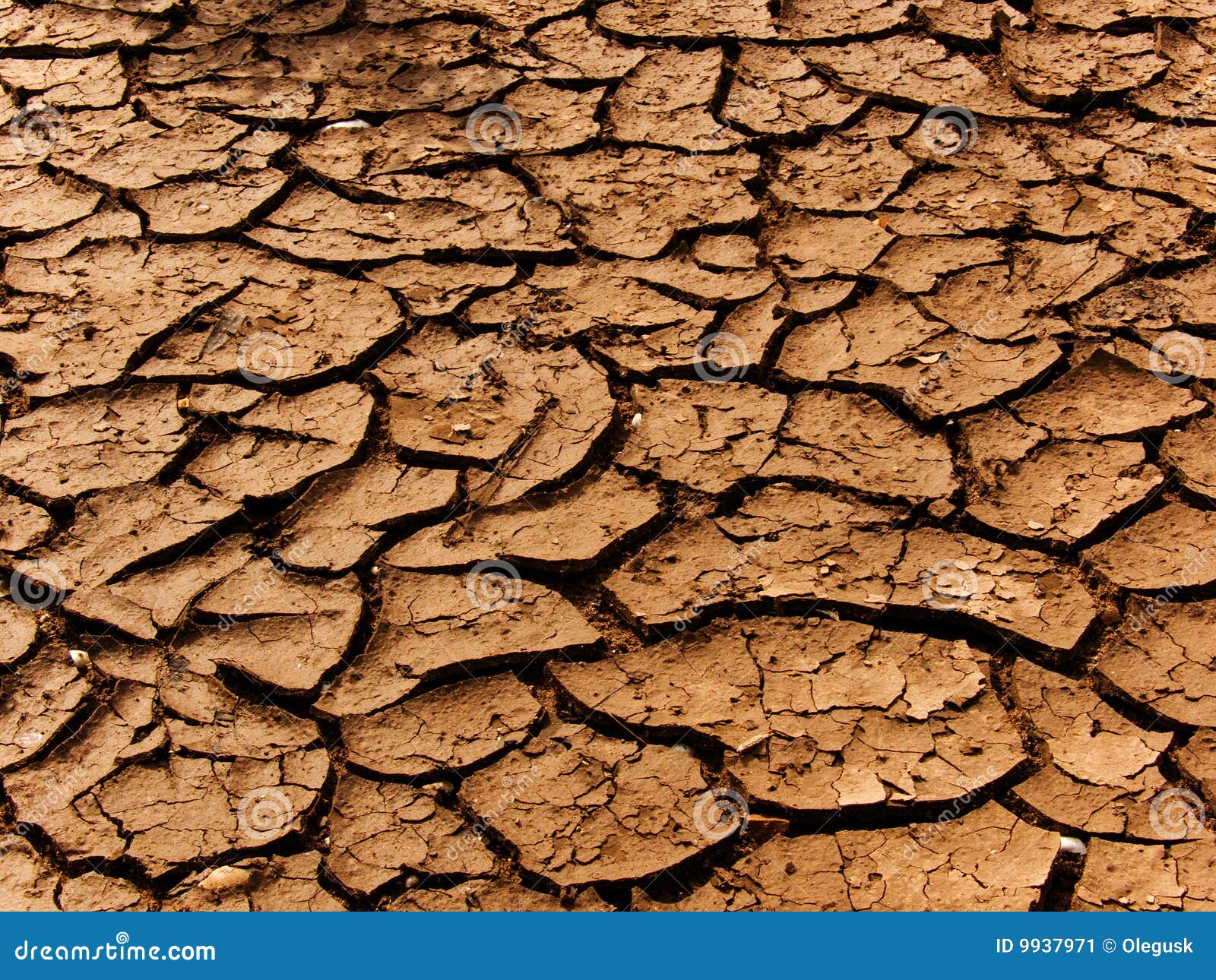 Cracks in a ground stock image. Image of clay, ground - 9937971