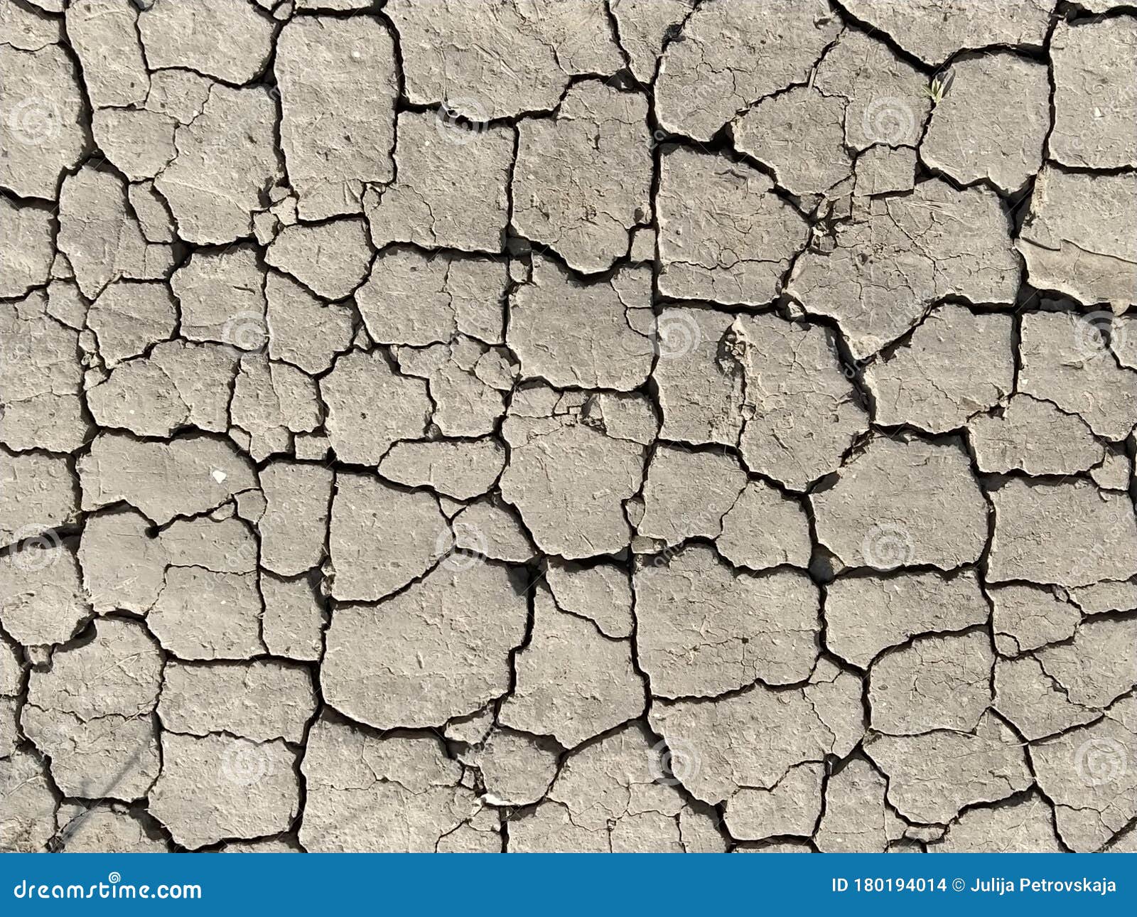 Cracks in the Ground. Aridity. Gray Soil. Desert. Close Up of Cracked ...