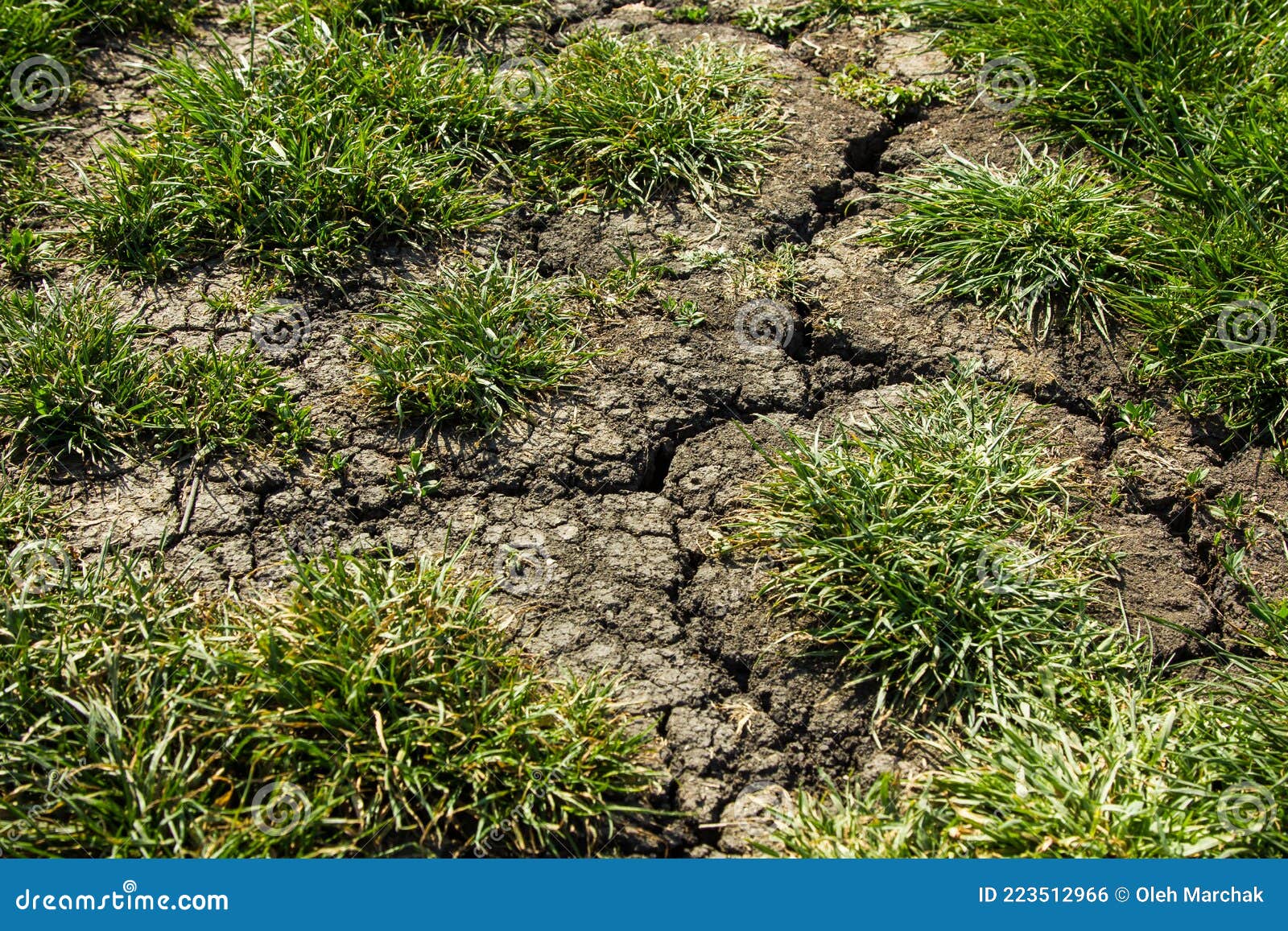 Cracks on the Ground during a Drought Stock Photo - Image of dirt ...