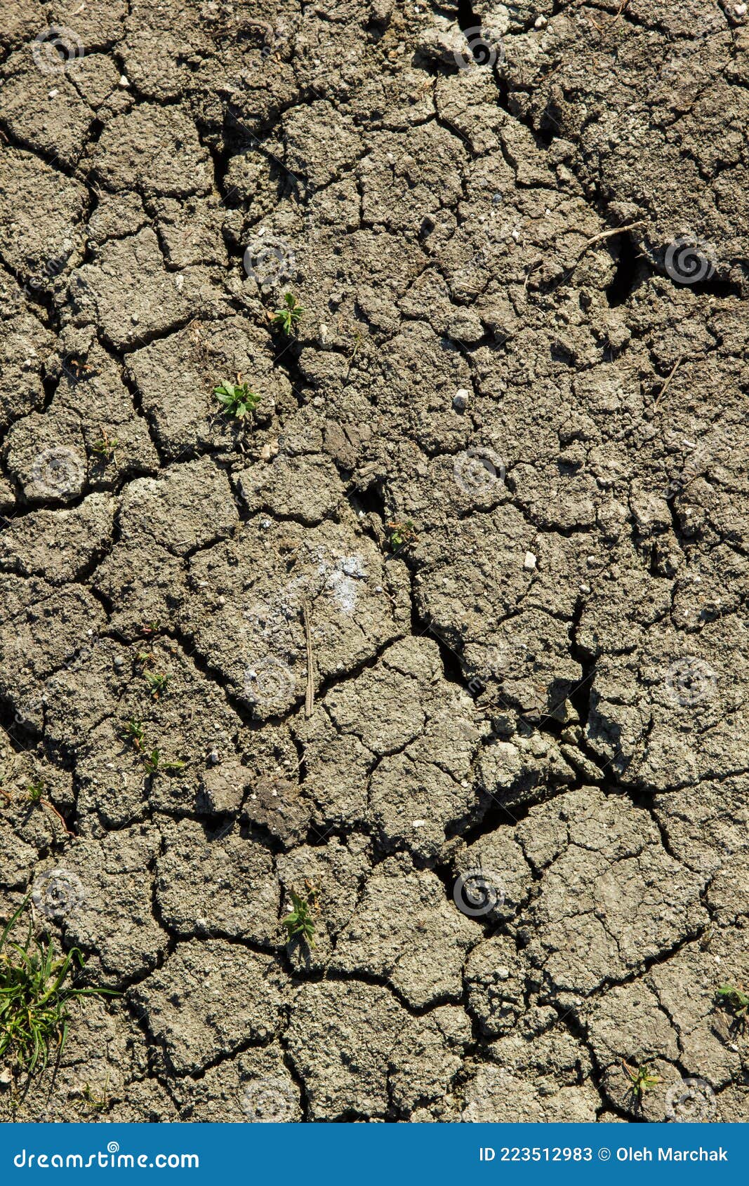 Cracks on the Ground during a Drought Stock Image - Image of outdoor ...