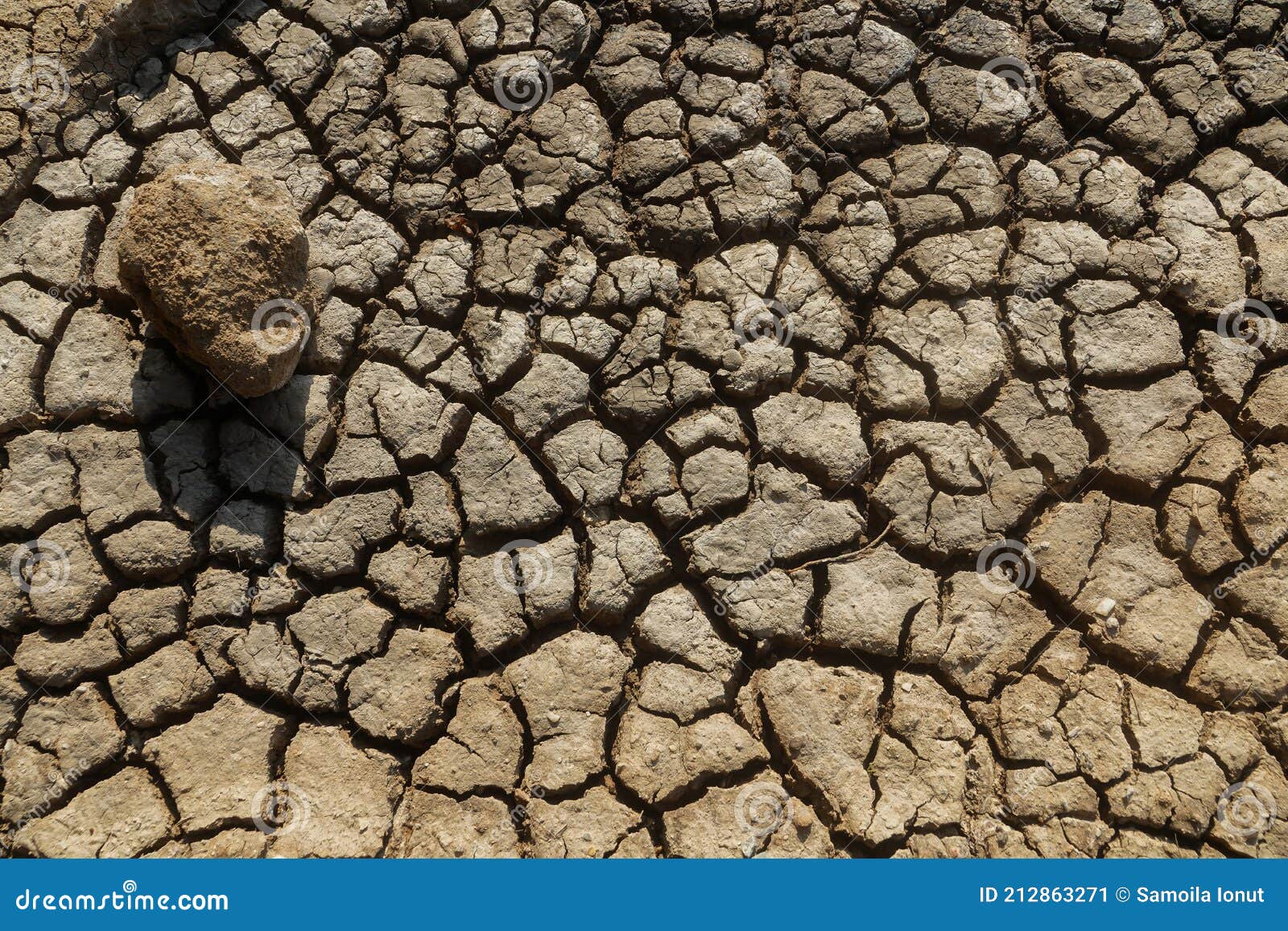 Cracks in the Ground. Earth in a Hot Summer. Stock Image - Image of ...