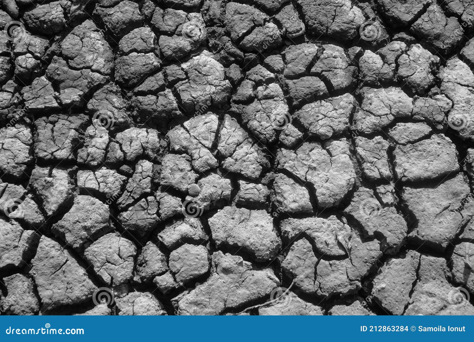 Cracks in the Ground. Earth in a Hot Summer. Stock Photo - Image of ...