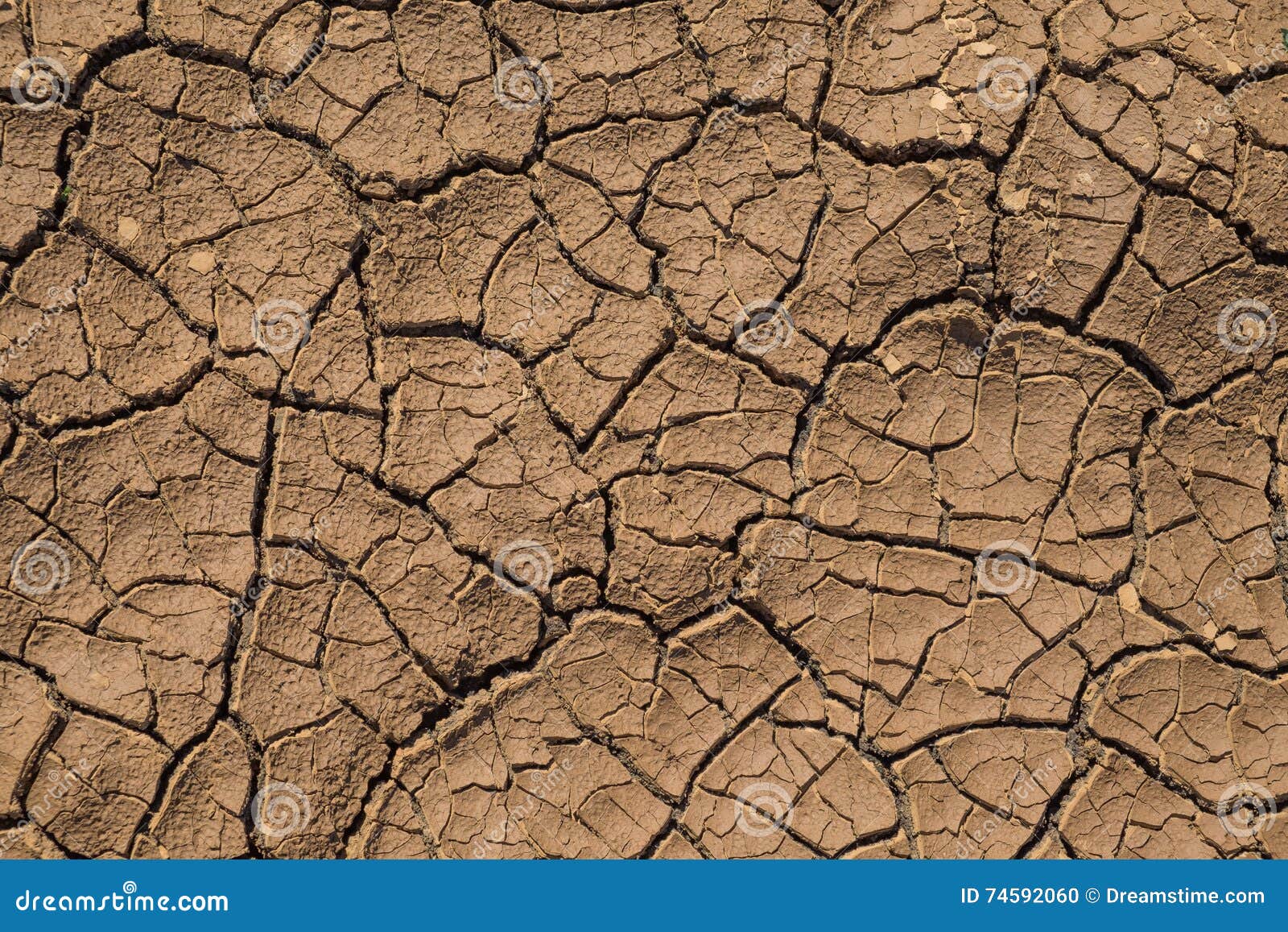 763 Clay Cracks Field Stock Photos - Free & Royalty-Free Stock Photos ...