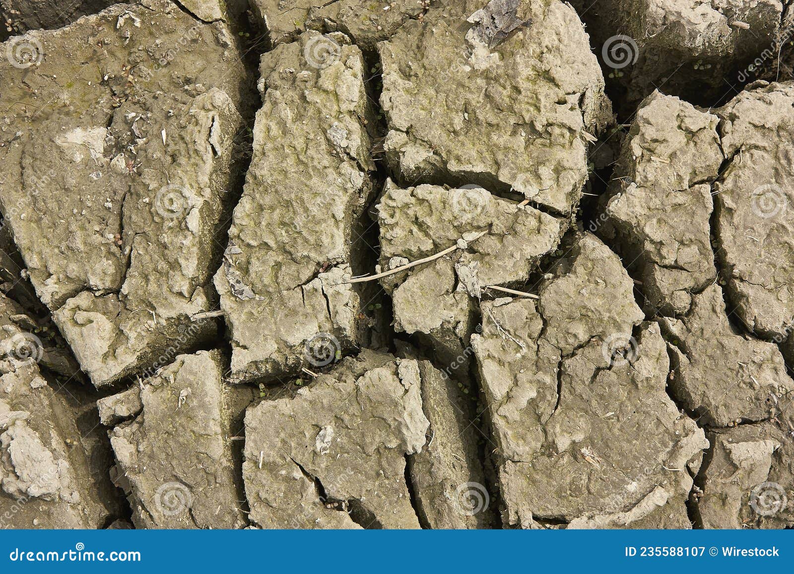 Cracks in the ground stock image. Image of clay, cultivation - 235588107