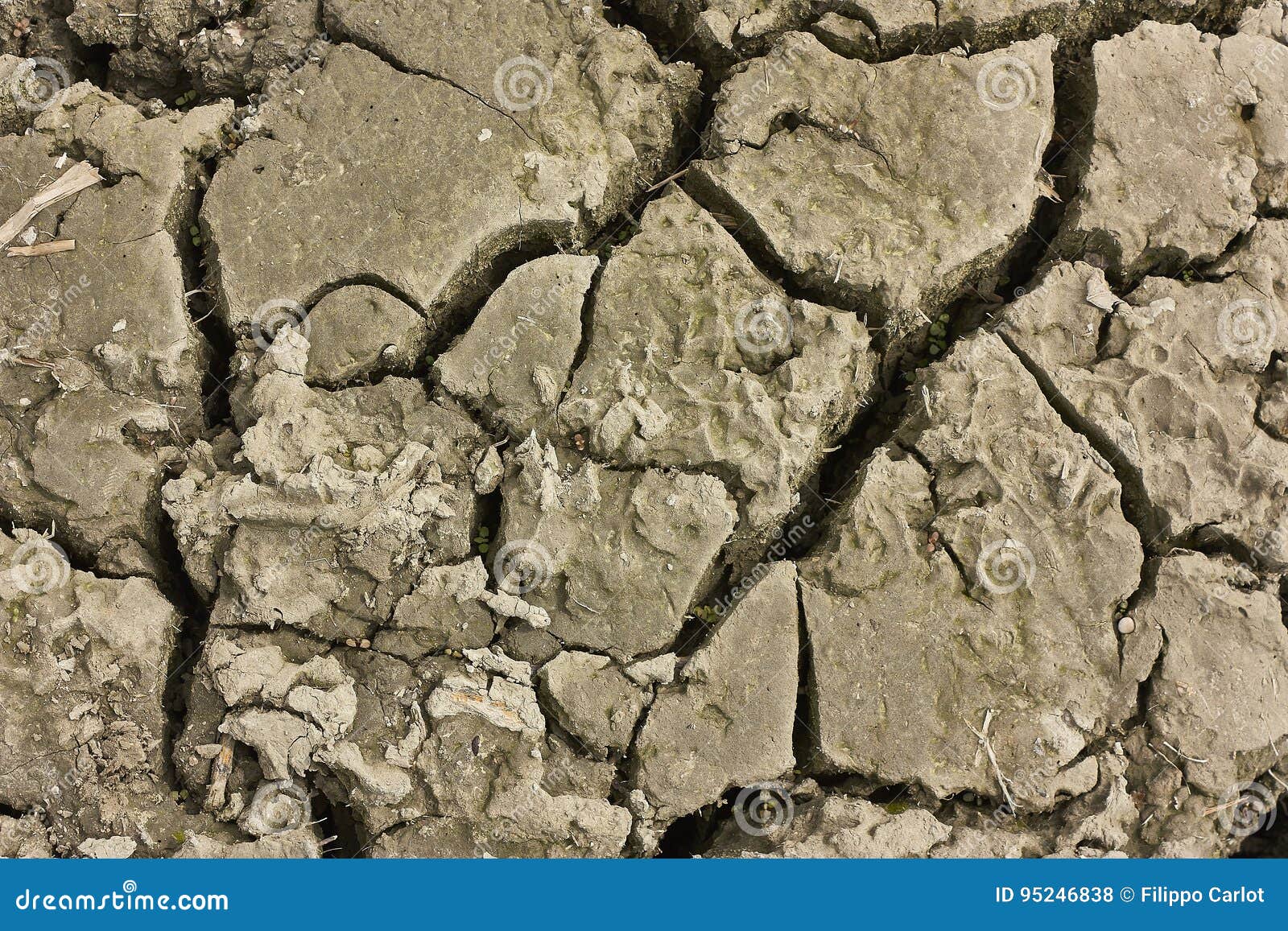 Cracks in the ground stock photo. Image of warming, field - 95246838