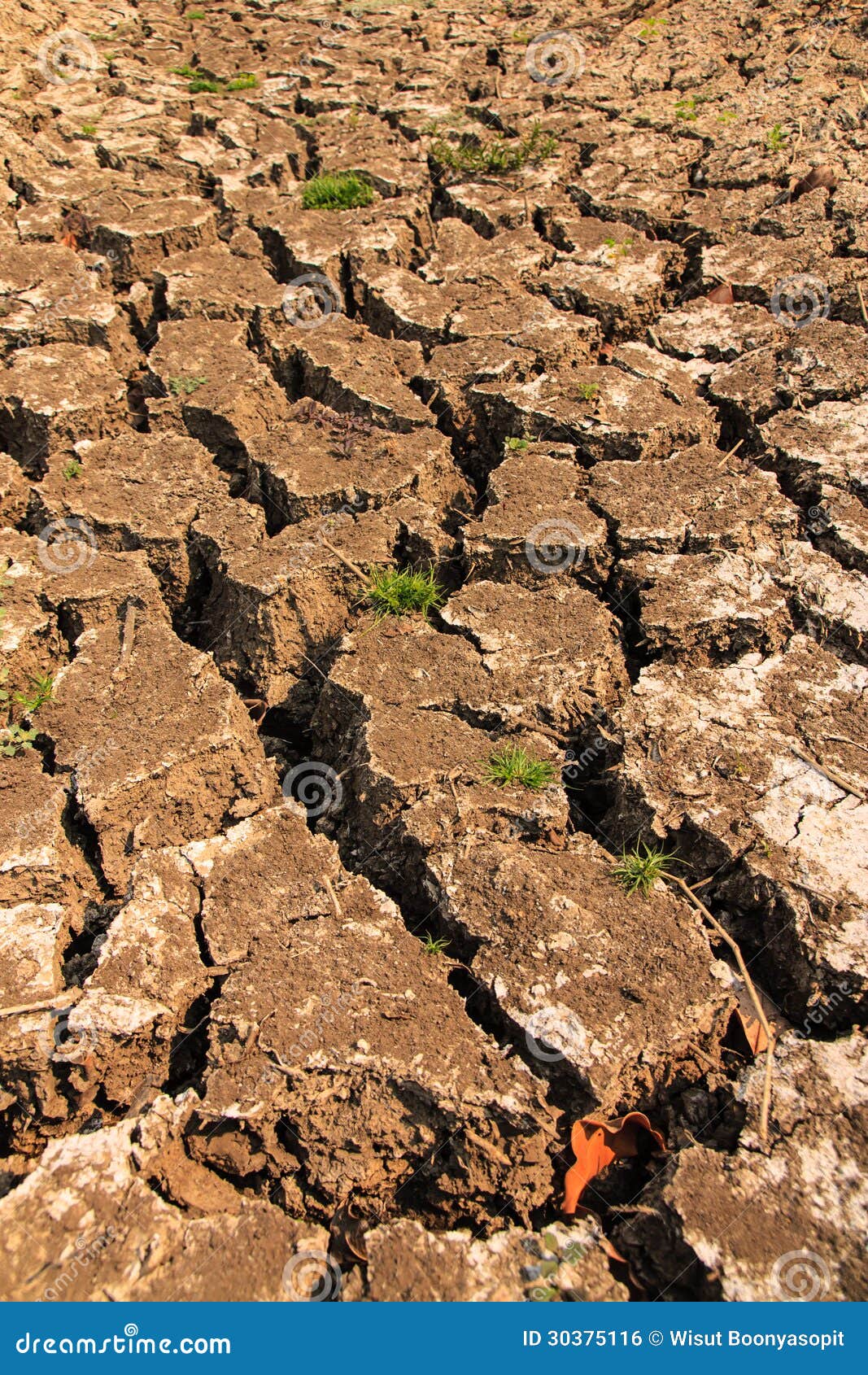 Cracks in the Land in Rural Areas Stock Photo - Image of landscape ...