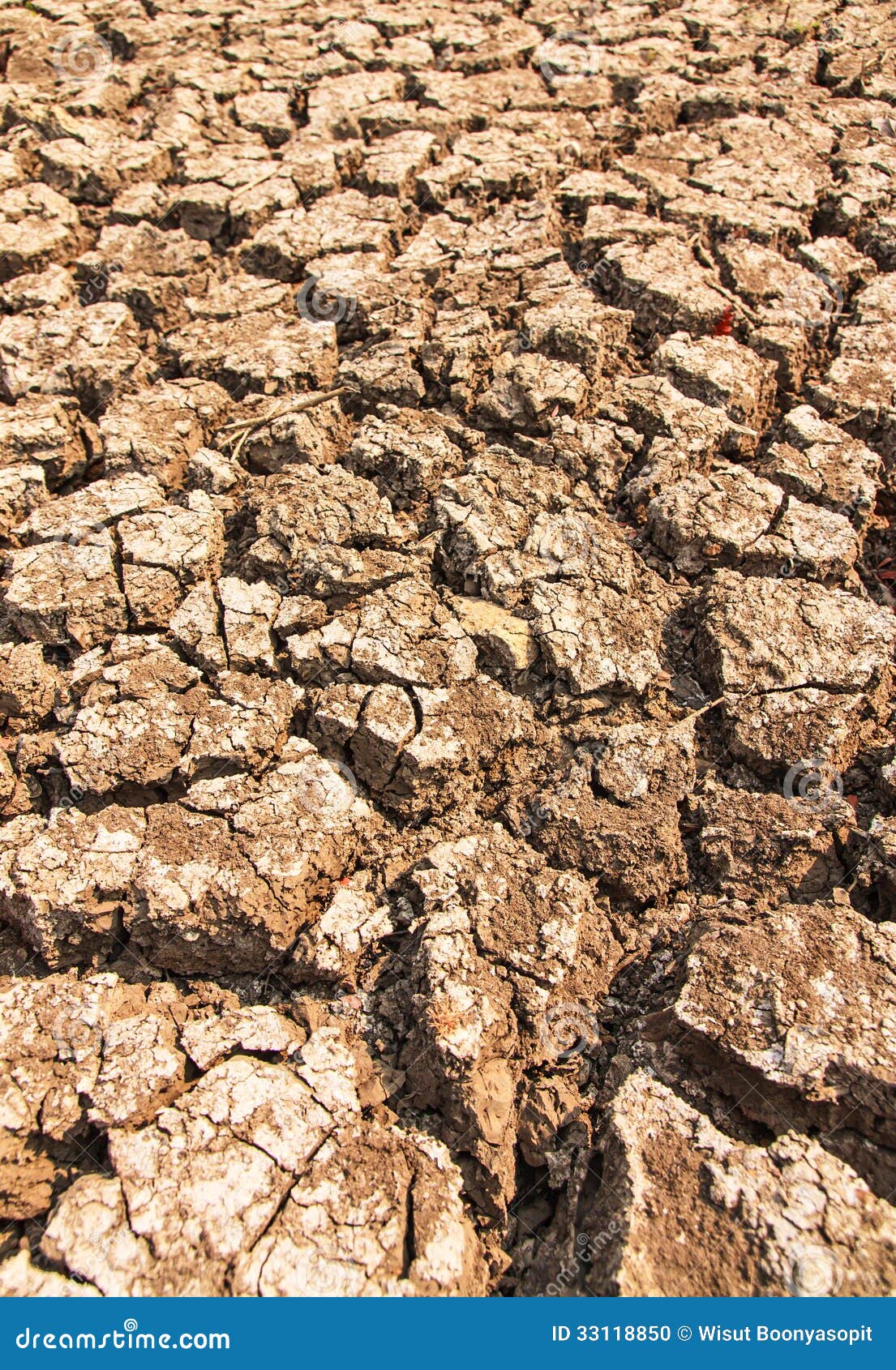 Cracks in the Land in Rural Areas Stock Photo - Image of environment ...