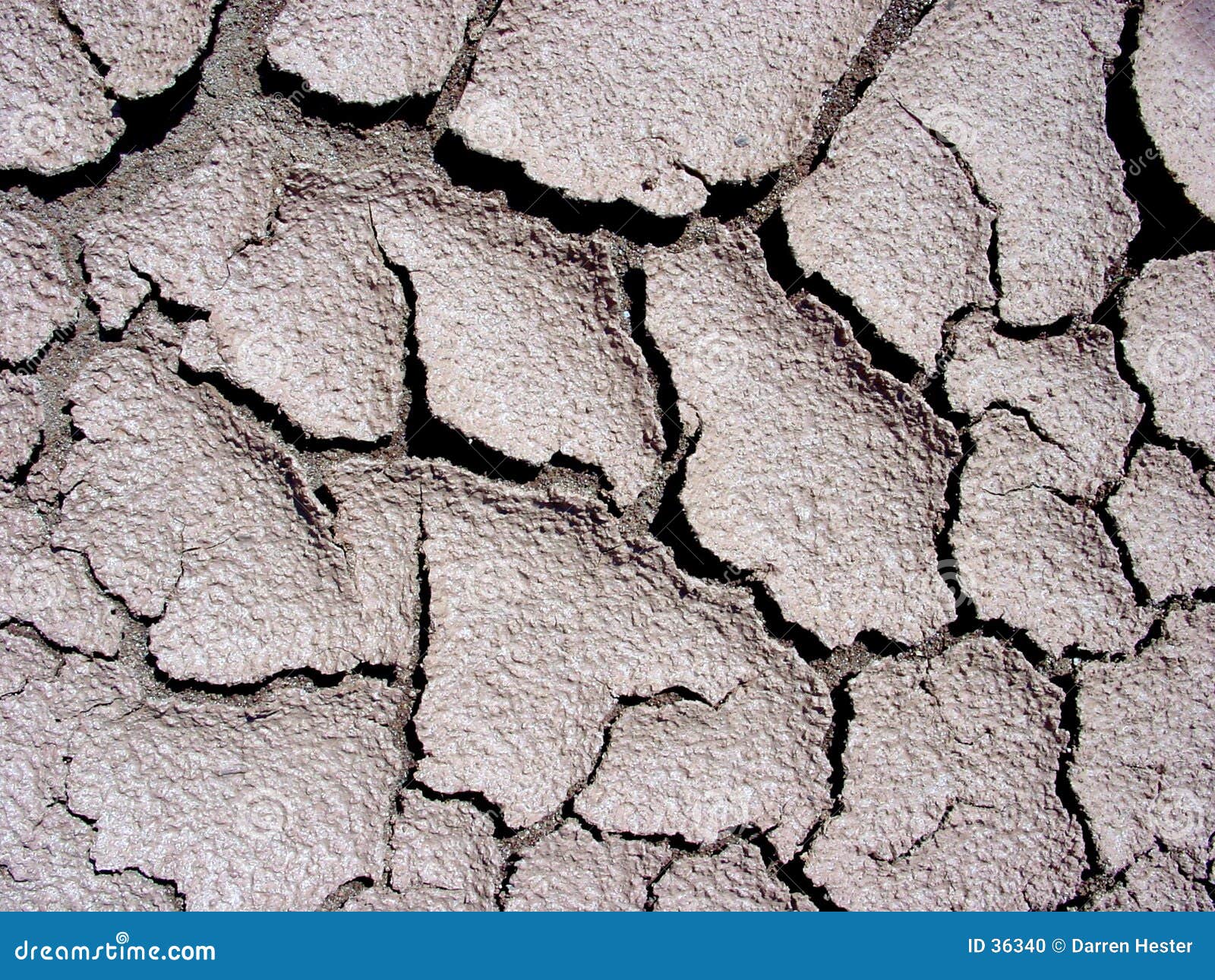 Cracks in Mud stock photo. Image of texture, background - 36340