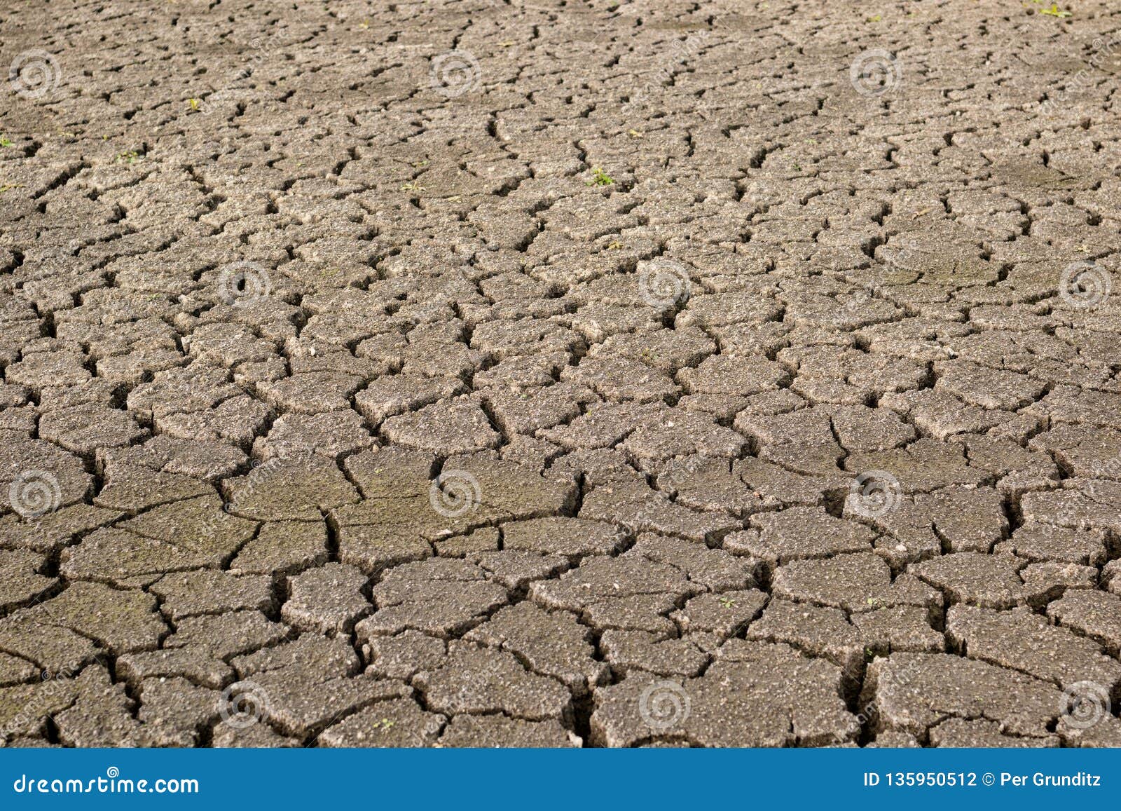 Cracks in Mud Due To Drought Stock Photo - Image of dried, climate ...
