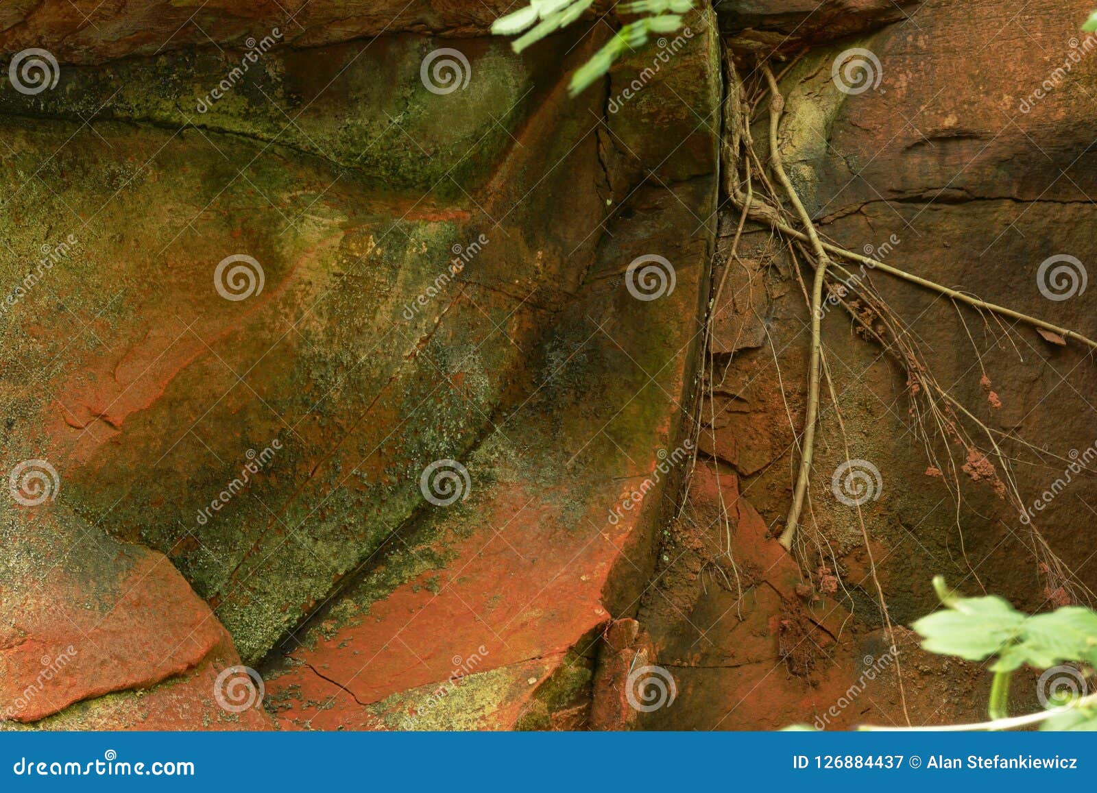 Cracks on the rocks stock image. Image of branch, construction - 126884437