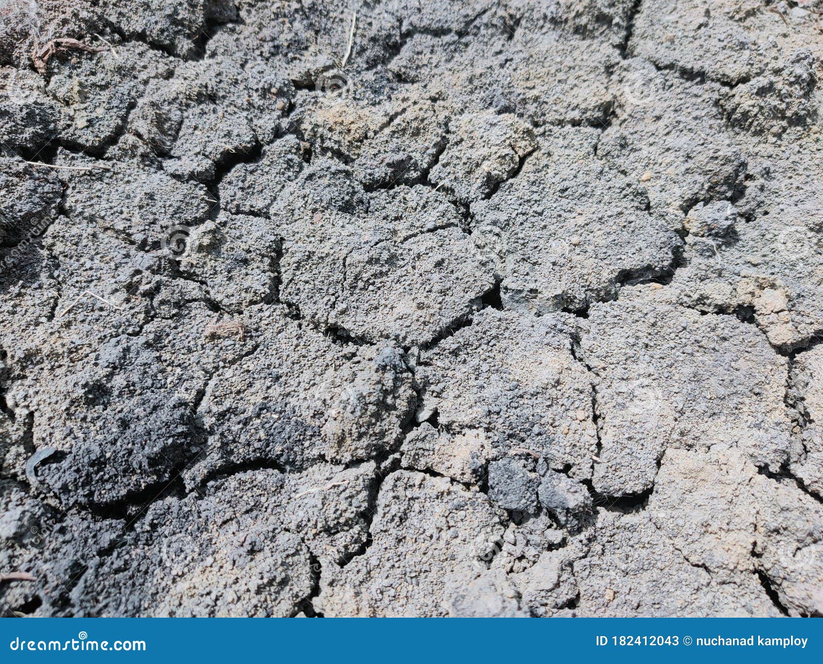Cracks and Rough Surfaces of the Ground in the Garden. Stock Image ...