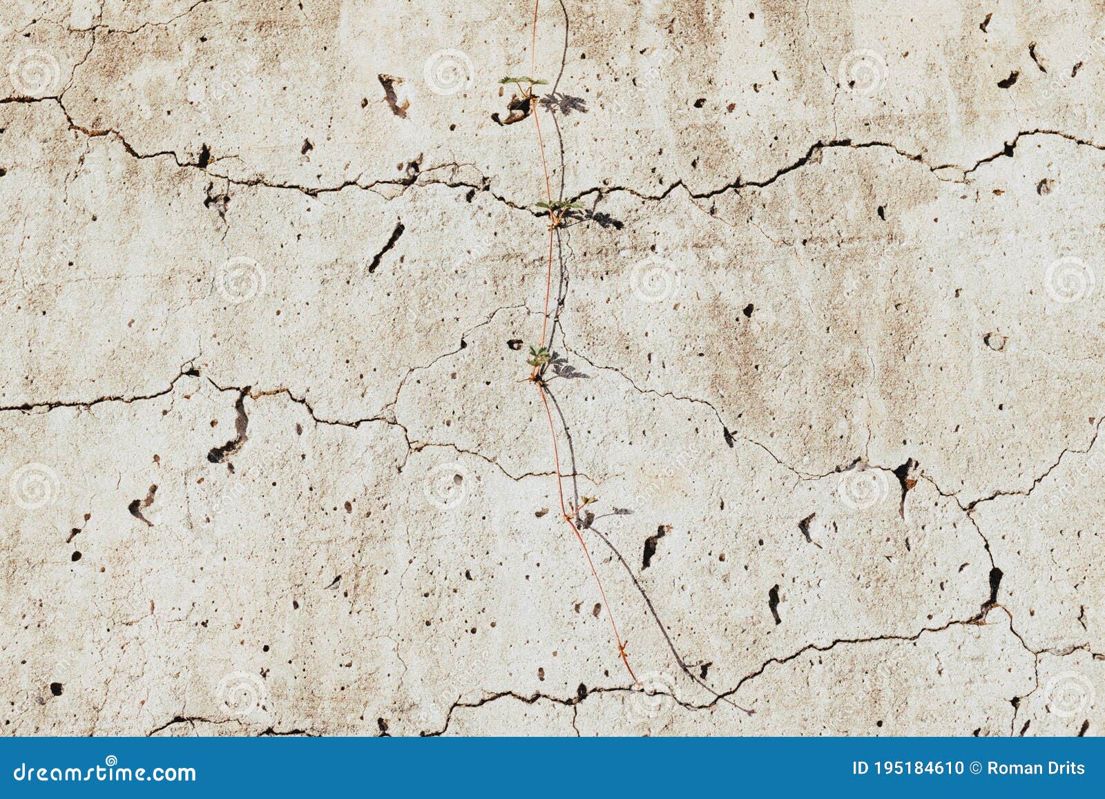 Cracks on stone wall stock photo. Image of background - 195184610