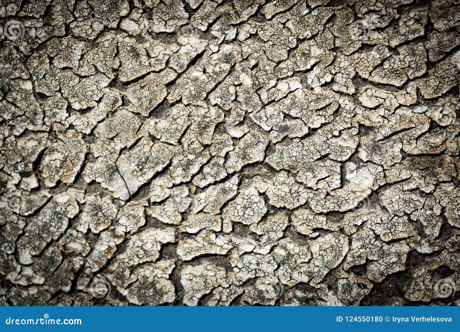 Cracks from the Sun on a Black Polymer Coating Stock Photo - Image of ...