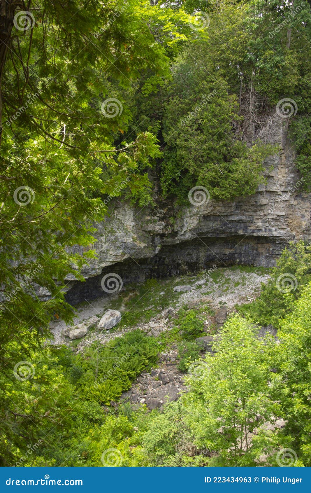 The Elora Gorge rock face stock image. Image of ontario - 223434963