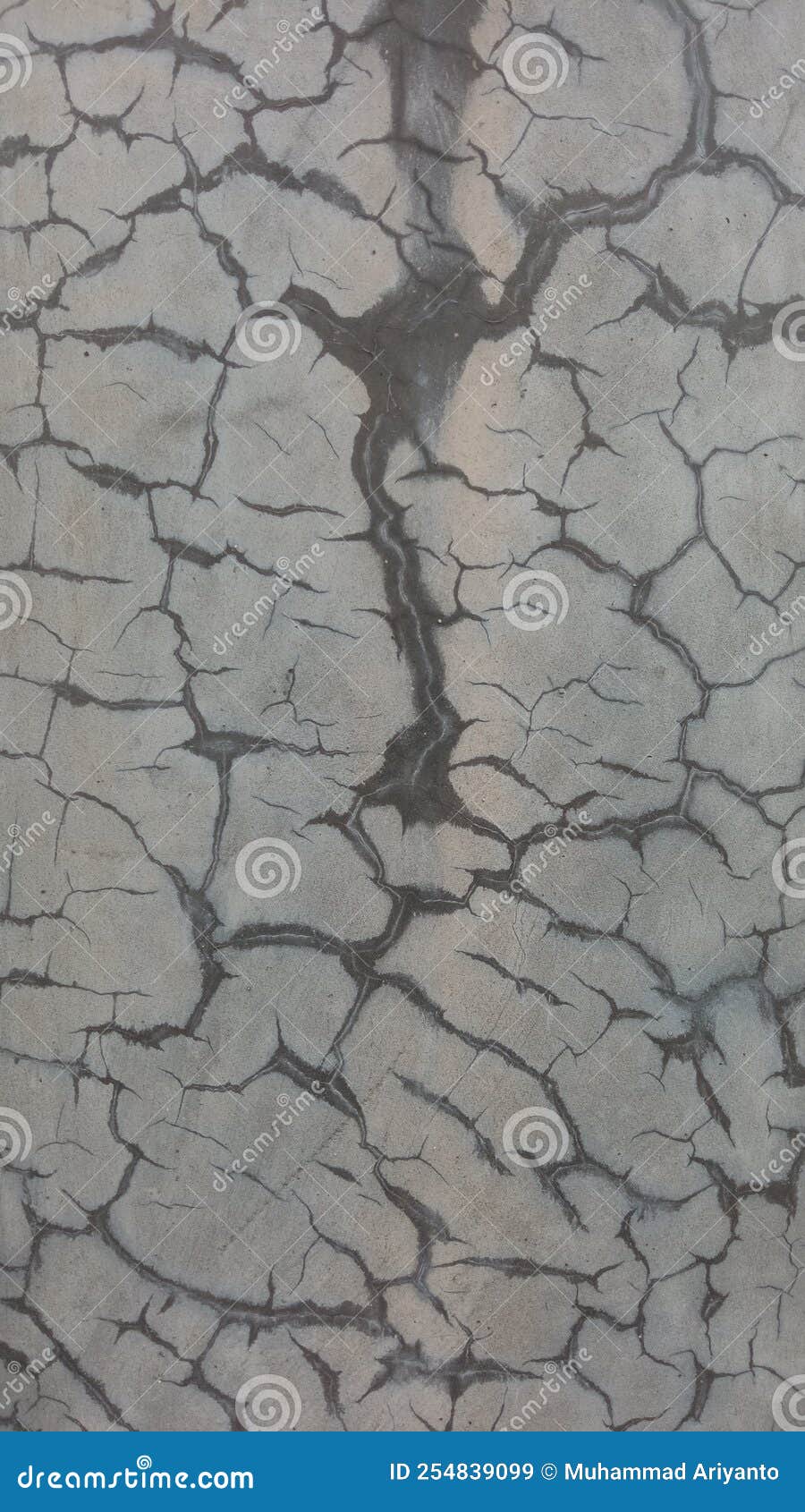 Cracks in the Wall that Resemble Tree Roots Stock Image - Image of ...
