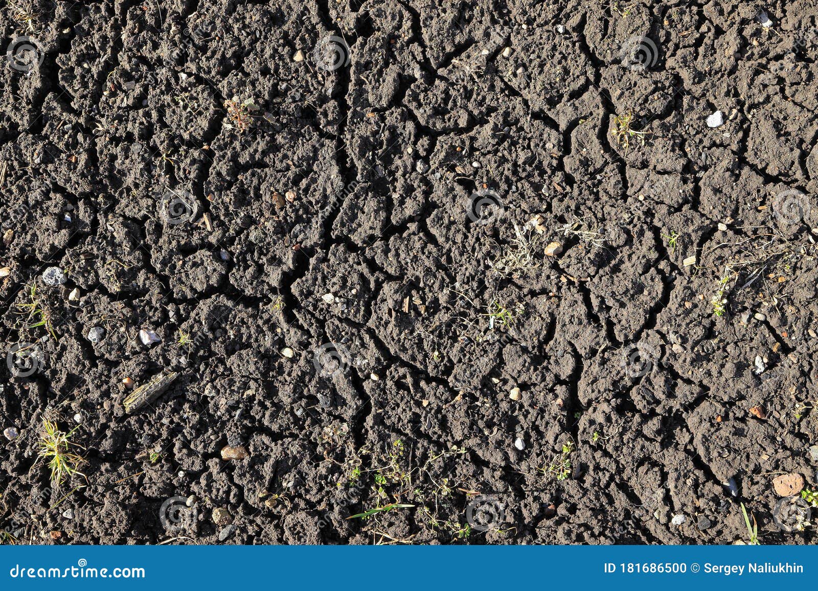 Cracks in the Wet Ground in a Field in Spring Stock Photo - Image of ...