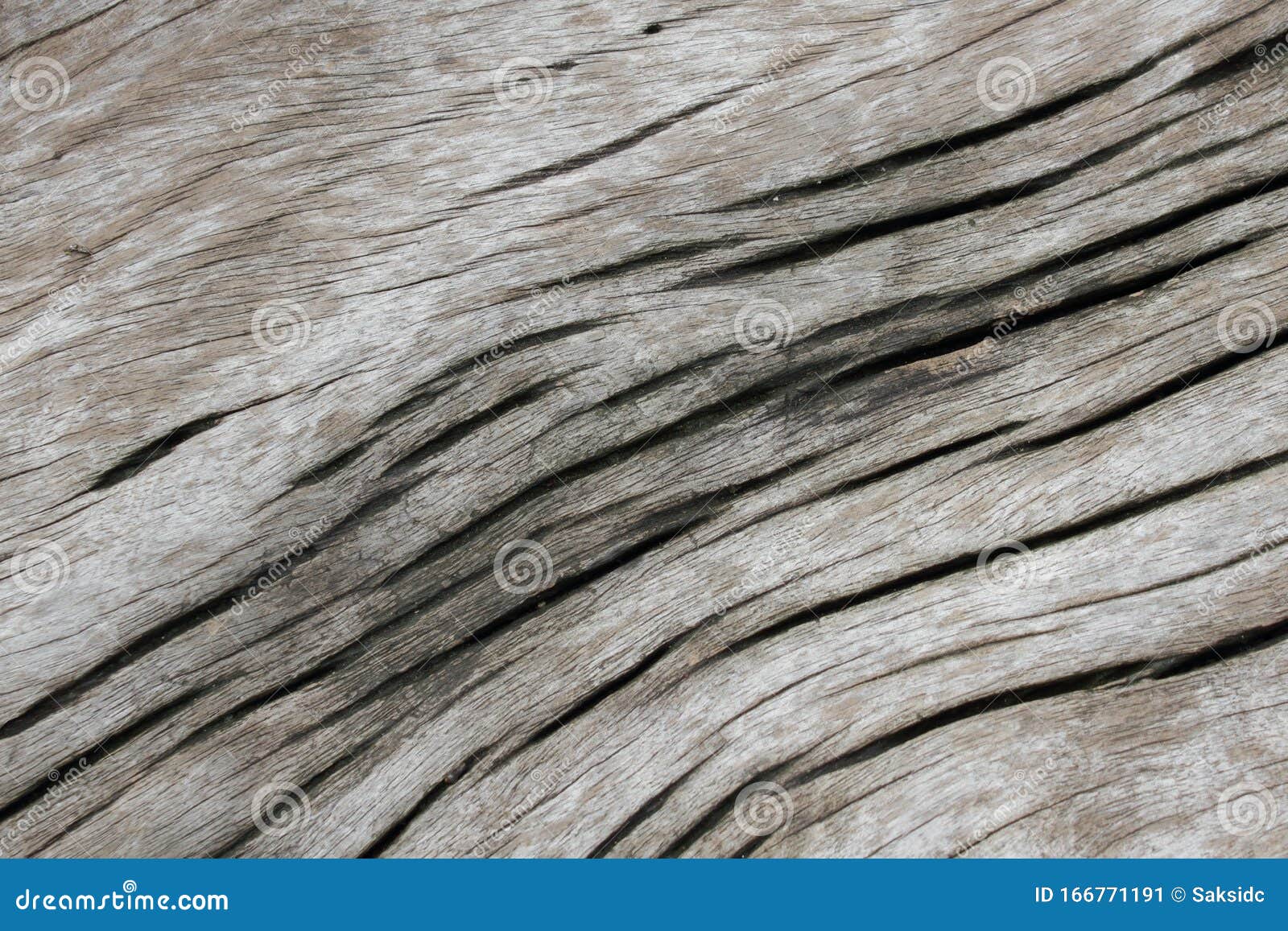 Cracks of Wood Texture, Natural Patterns Stock Image - Image of plank ...