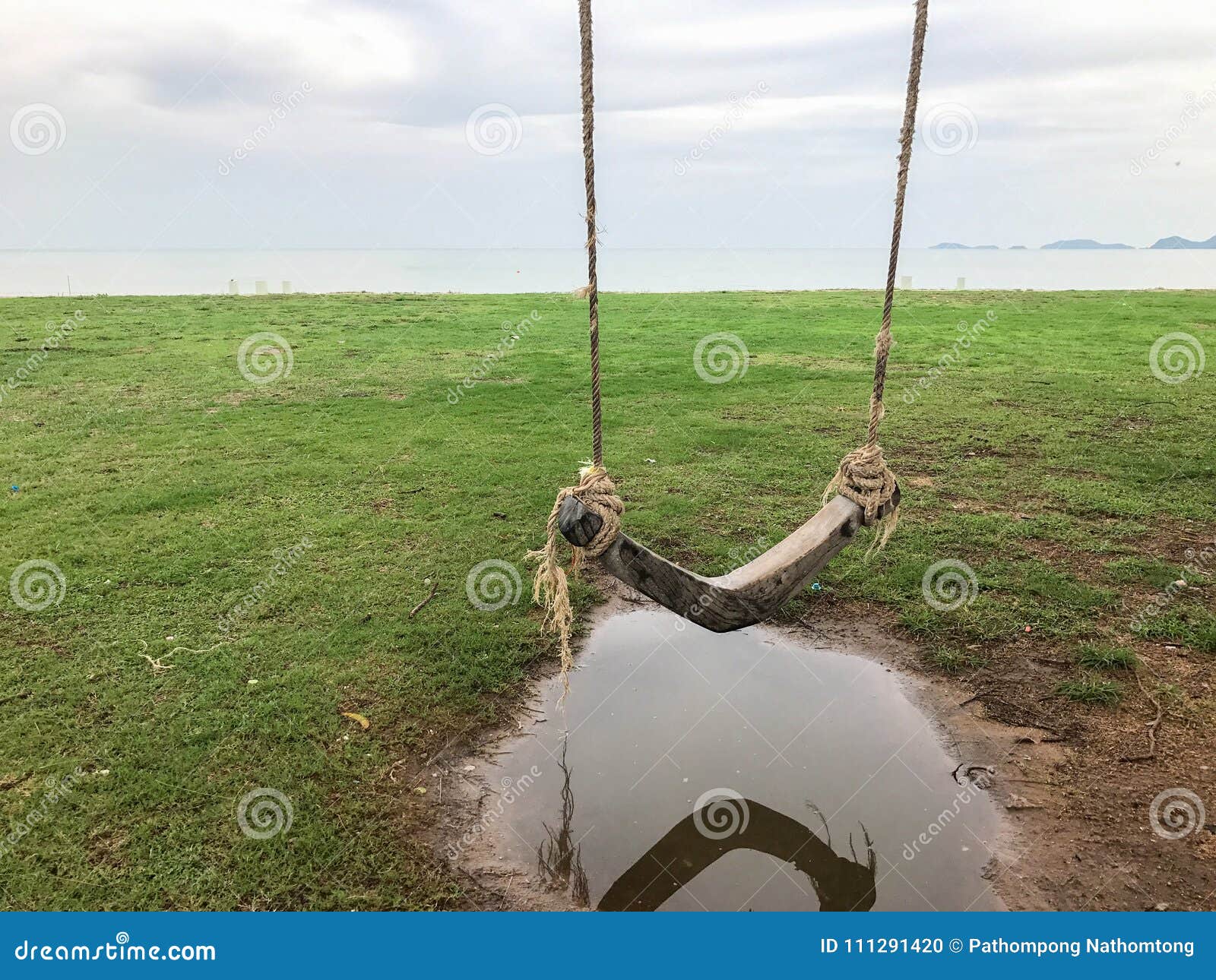 Cradle hang with the tree stock photo. Image of girl - 111291420