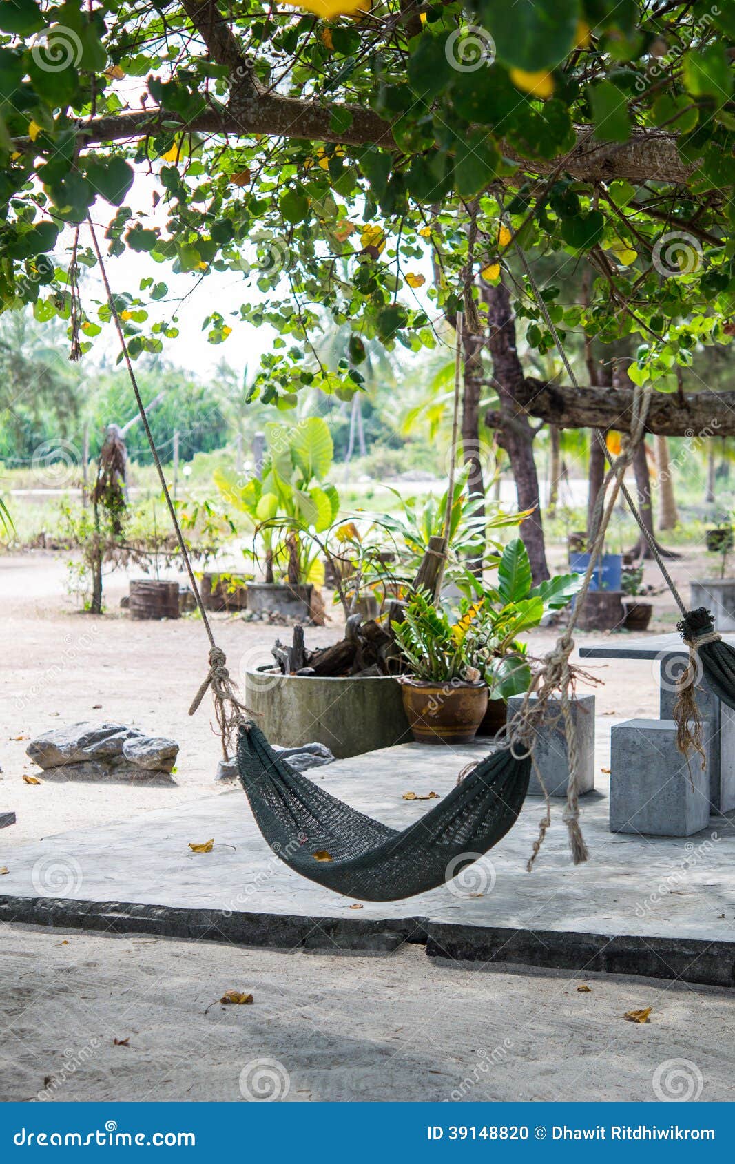 Cradles under a tree stock photo. Image of green, tree - 39148820