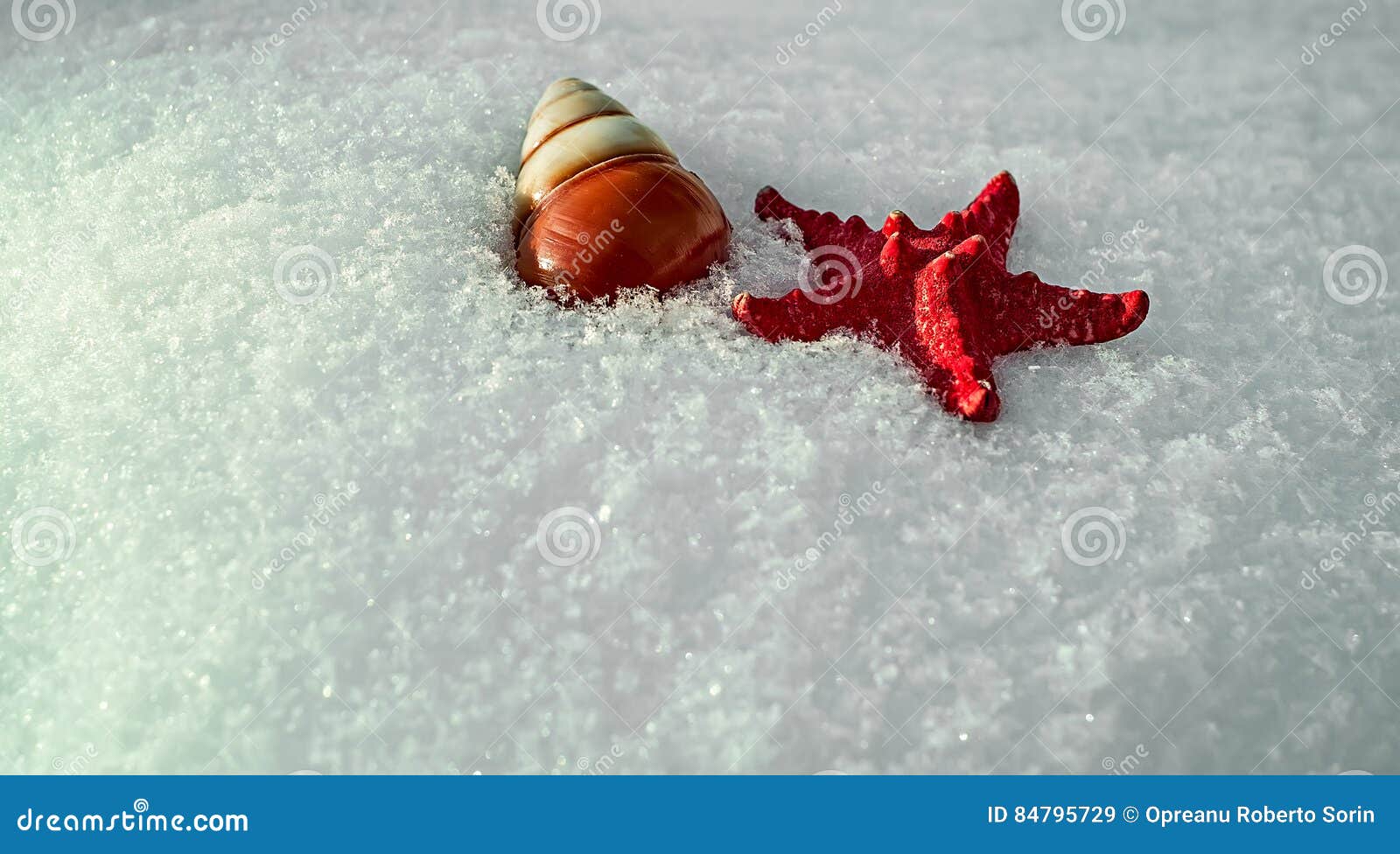 Crafted Starfish and Natural Snail Shell Stock Image - Image of ...