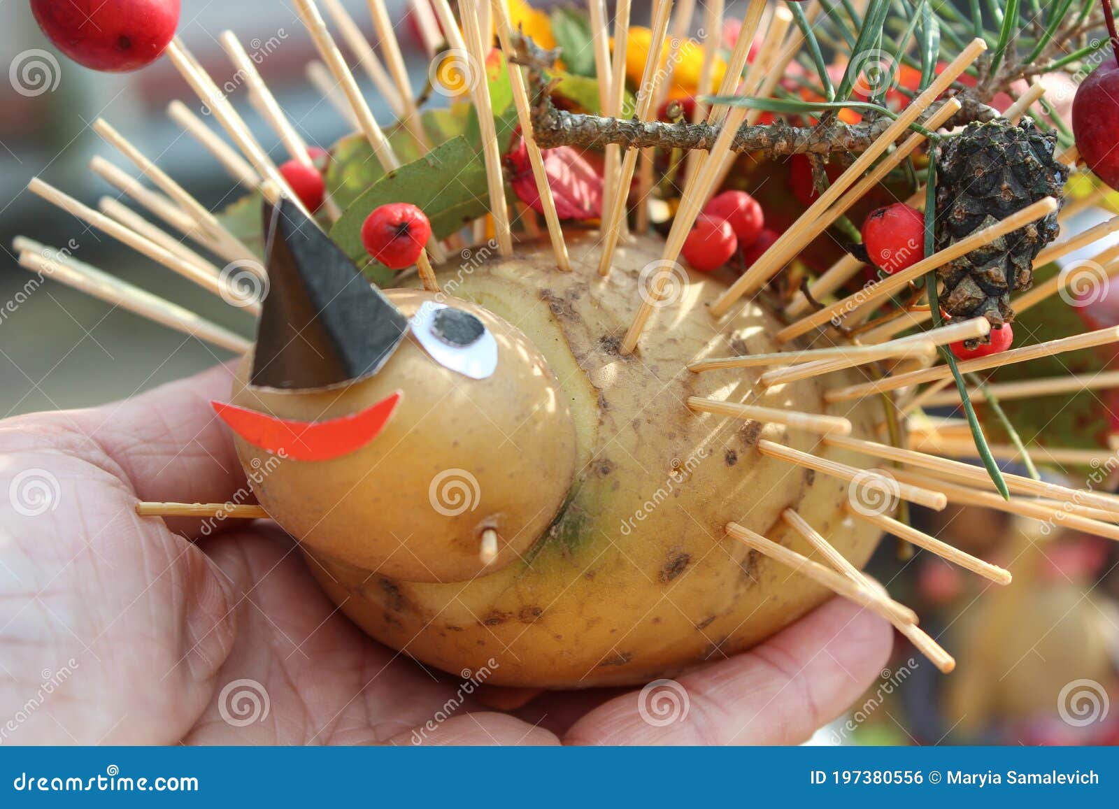 Crafts Made from Potatoes and Natural Materials - Hedgehog on Hand ...