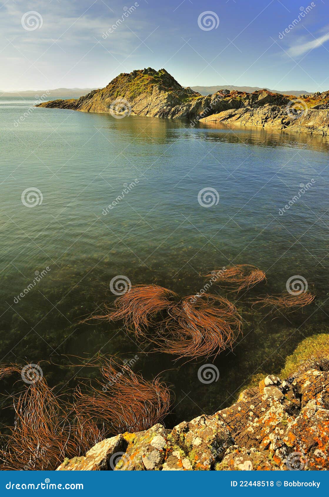Craignish Point, Argyll, Scotland Stock Photo - Image of lichen ...