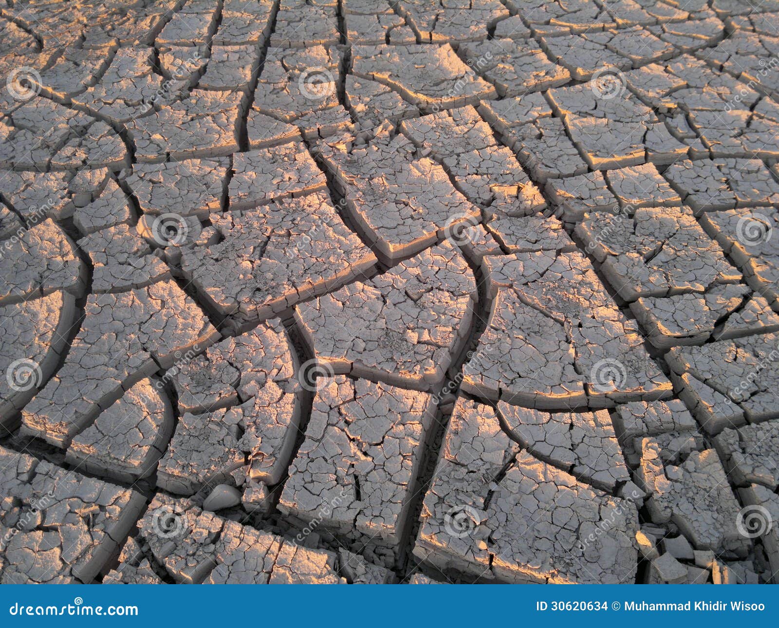 Craked land stock photo. Image of earth, environmental - 30620634