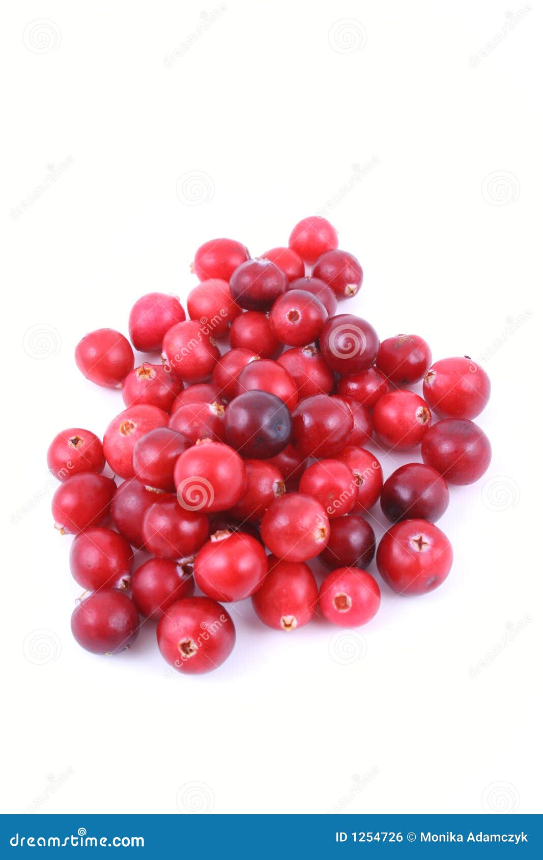 Cranberries stock photo. Image of fresh, christmas, juice - 1254726