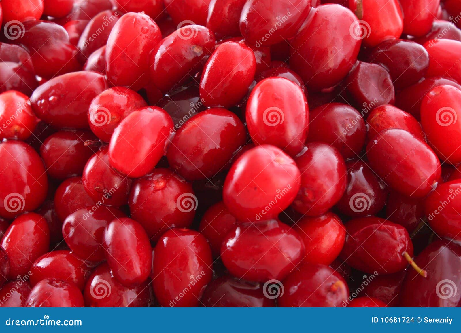 Cranberries background stock photo. Image of color, healthy - 10681724
