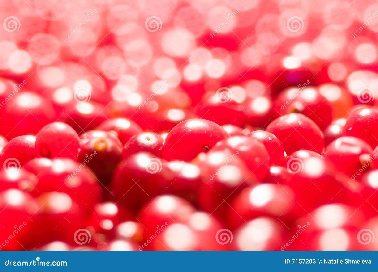 Cranberries background stock image. Image of dieting, closeup - 7157203