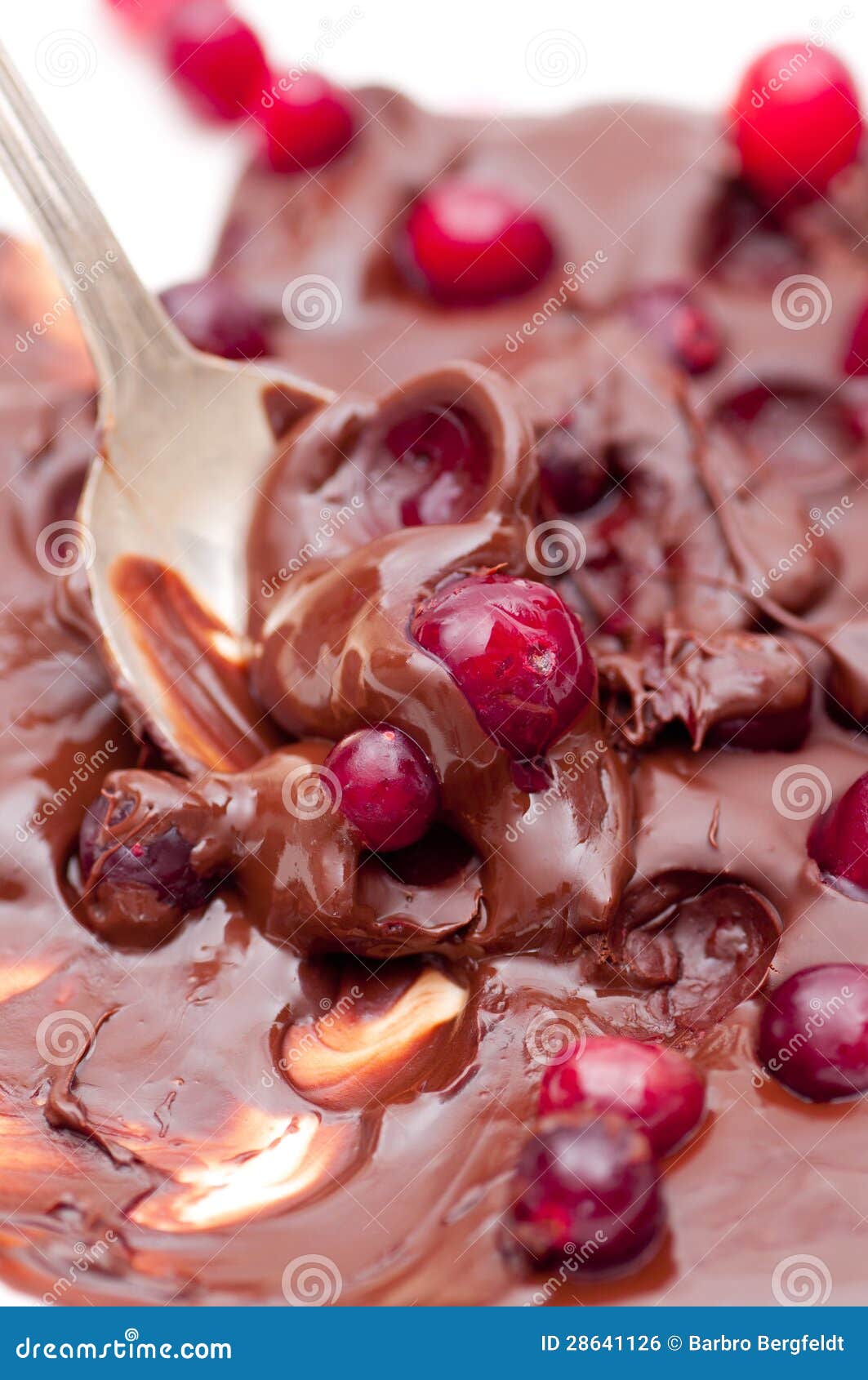 Cranberries Chocolate stock photo. Image of dessert, sweet - 28641126