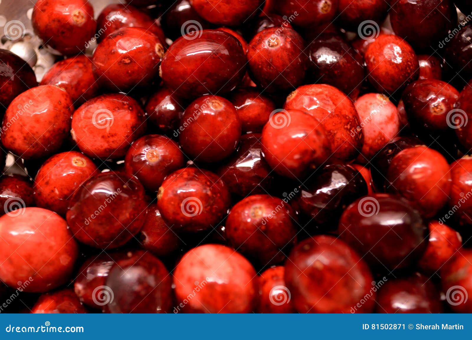 Cranberries close-up stock image. Image of fresh, close - 81502871