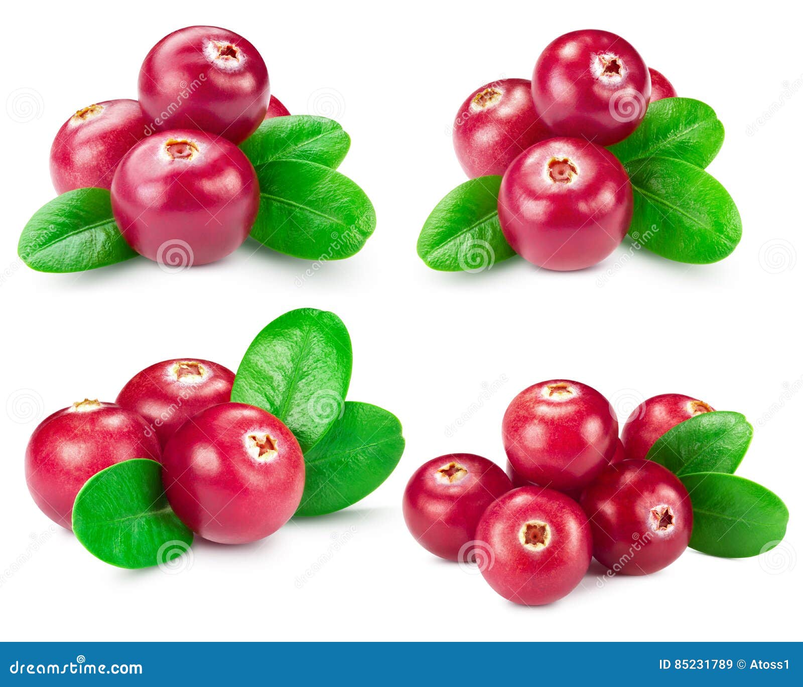 Cranberries Collection Isolated Stock Image - Image of object ...
