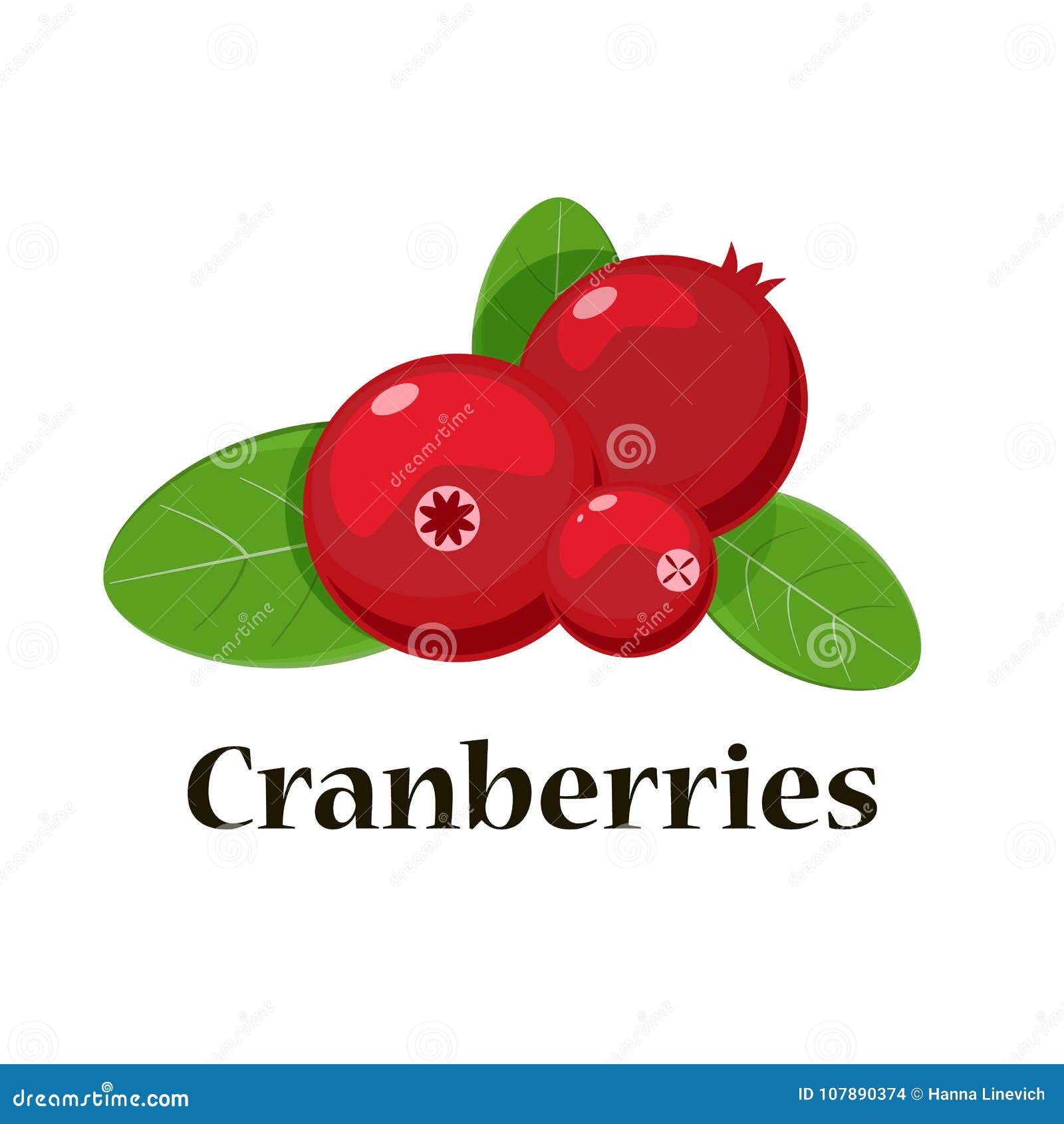 Cranberries Isolated Icon. Vector Illustration for Pattern, Badge ...
